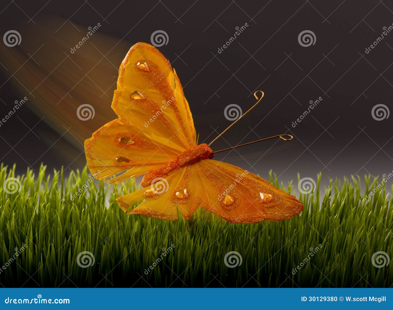 Surreal Butterfly. stock photo. Image of butterfly, beautiful - 30129380