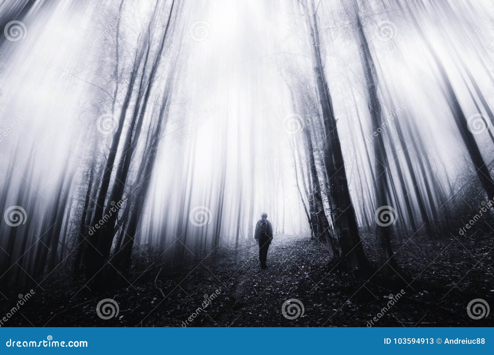 Surreal Dark Forest with Fog and Ghost Walking through Trees Stock ...