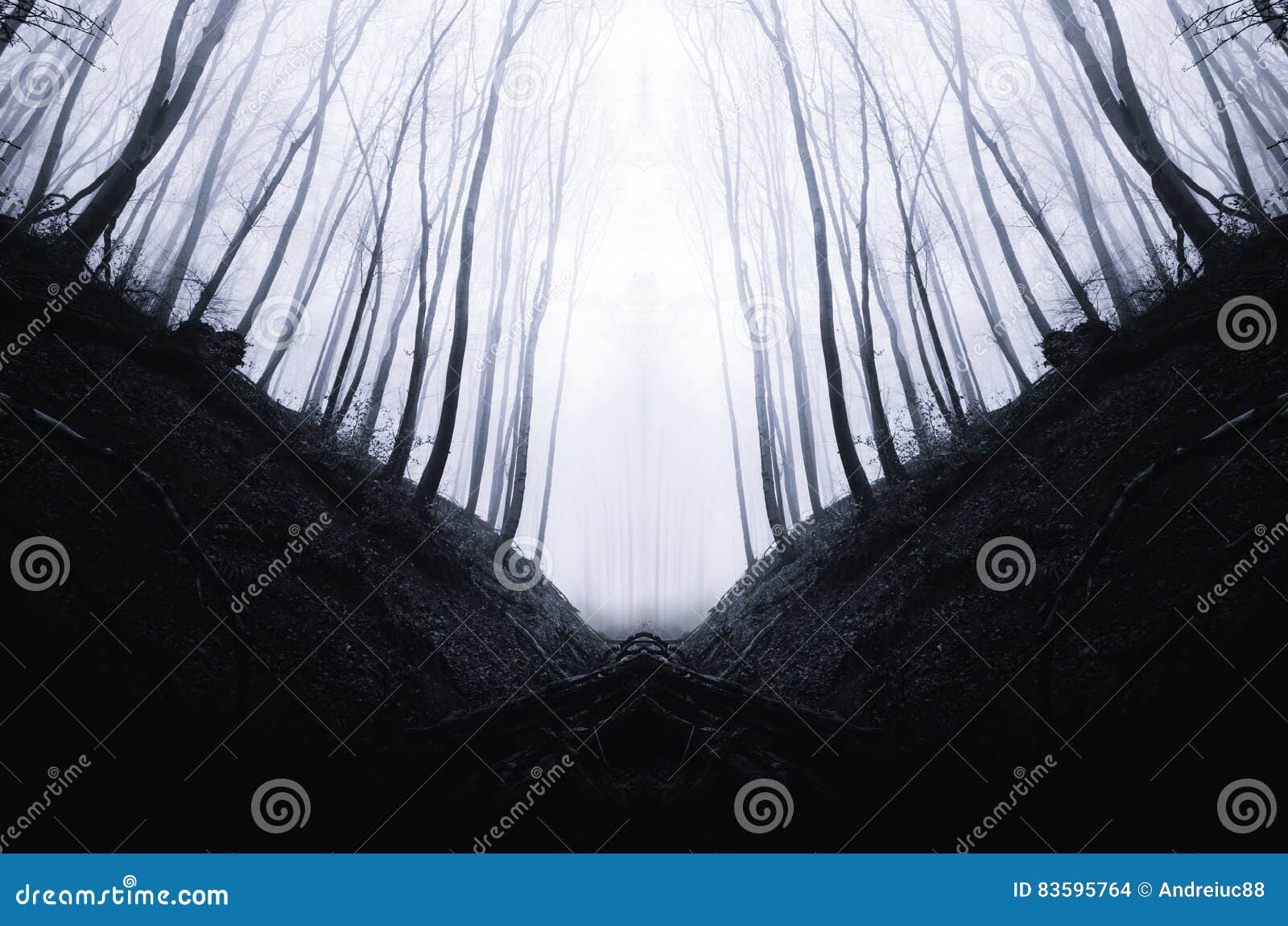 Surreal forest scene stock photo. Image of enchanted - 83595764