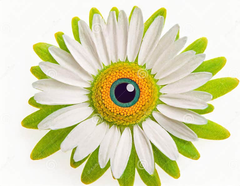 Surreal Image of a Daisy with an Eye in the Center Stock Illustration ...