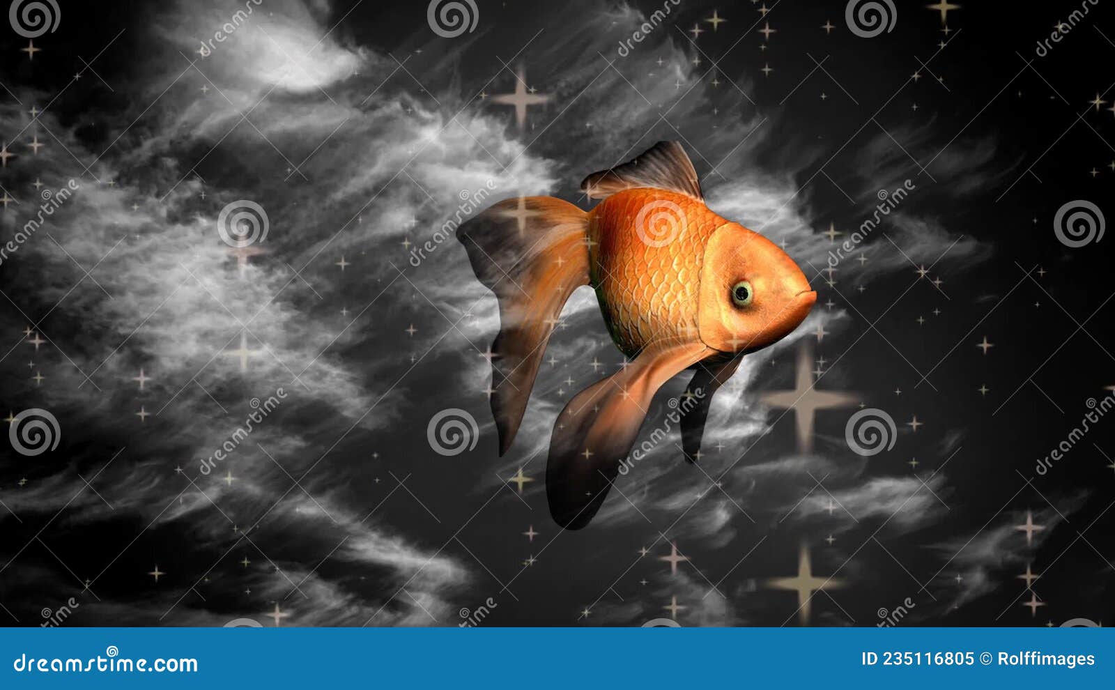 Fish in the sky stock video. Video of open, rendered - 235116805