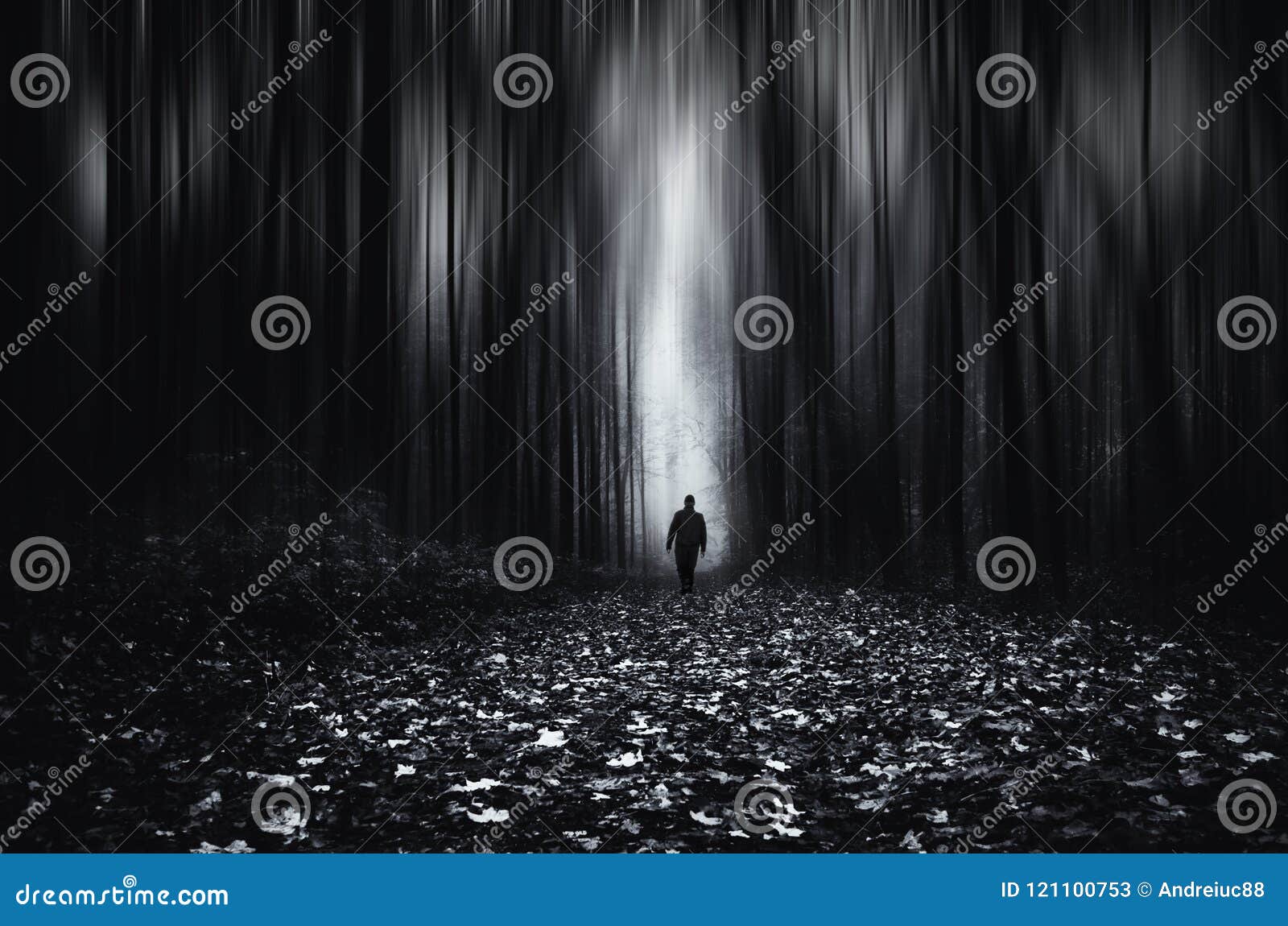 Surreal Infinite Forest with Man Walking on Other Side Stock Image ... Surreal Infinite Forest with Man Walking on Other Side Stock Image ...