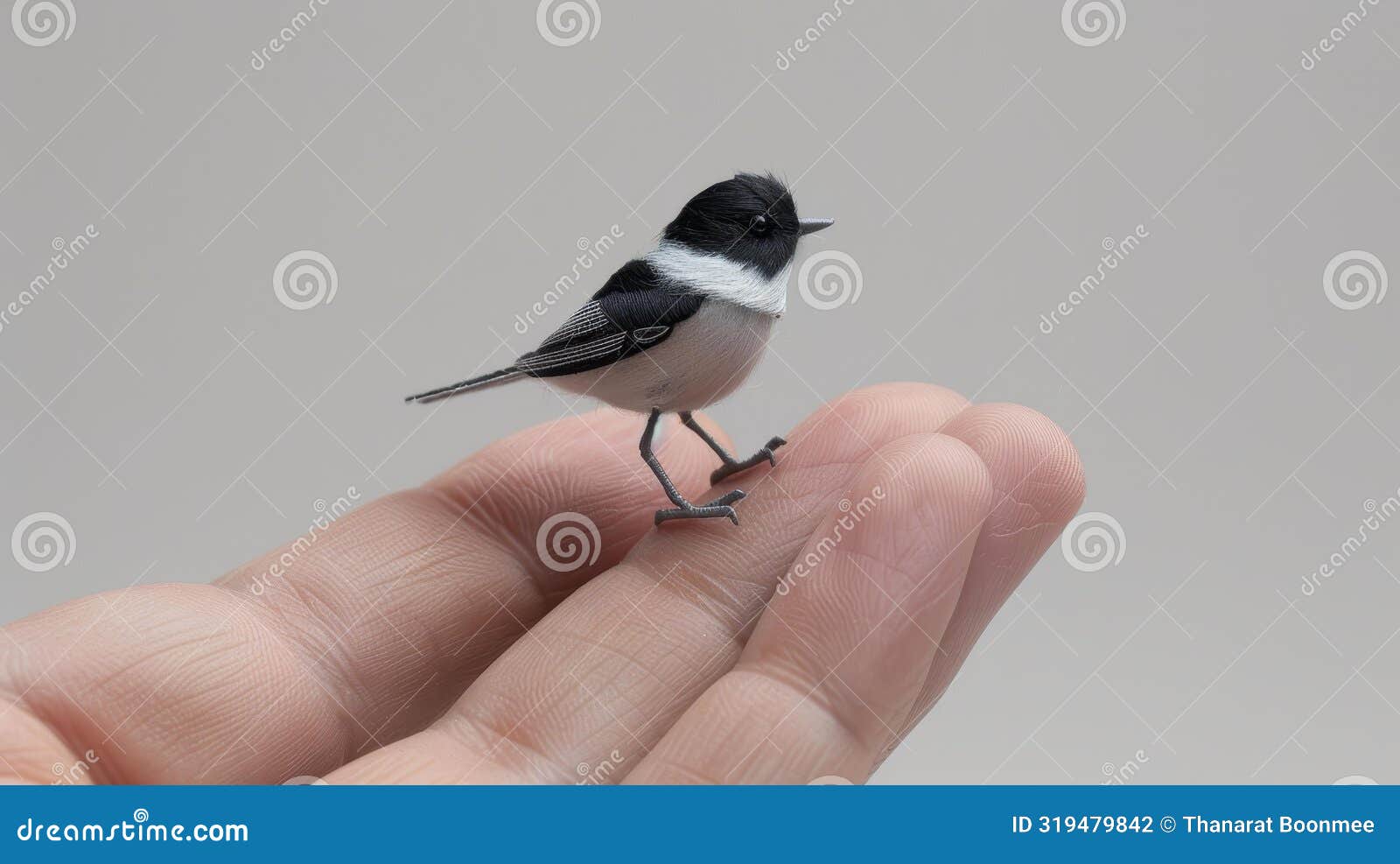 A Surreal Mini Bird Perches on a Human Hand, Isolated on a Stark White ...
