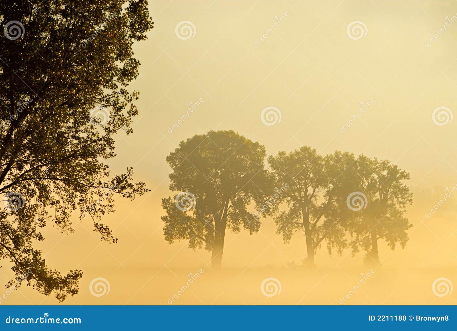 Surreal Morning stock photo. Image of peaceful, harmony - 2211180