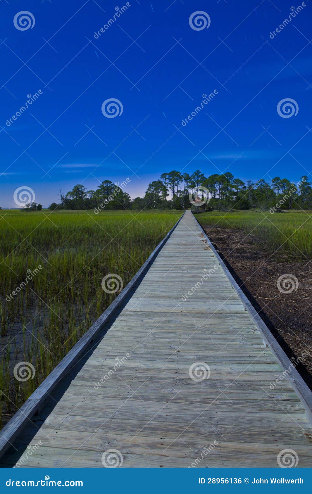 Surreal path into distance stock photo. Image of dark - 28956136