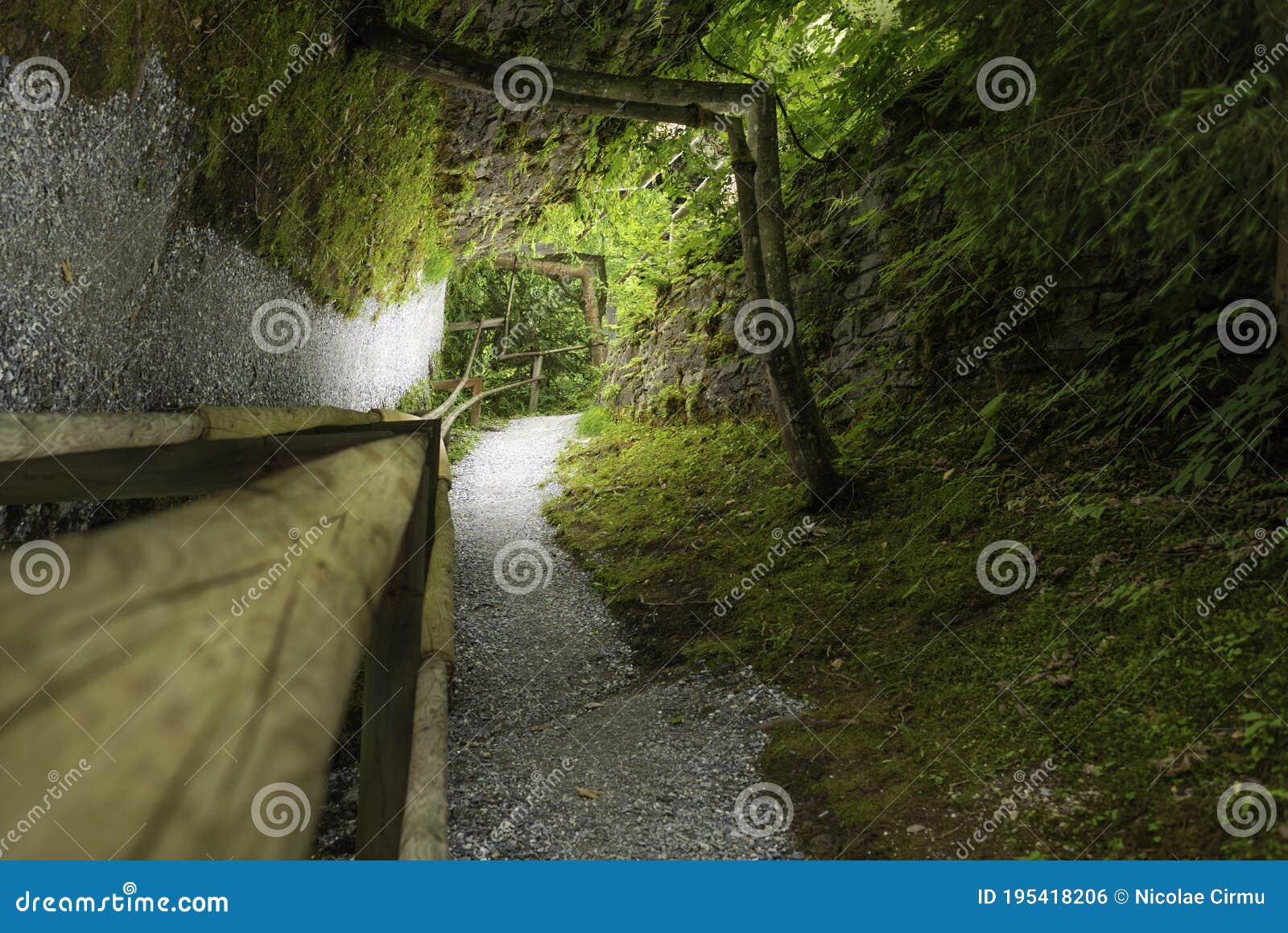 A Surreal Path with Pebbles and Forest Both Sides, Middle of the Day ...