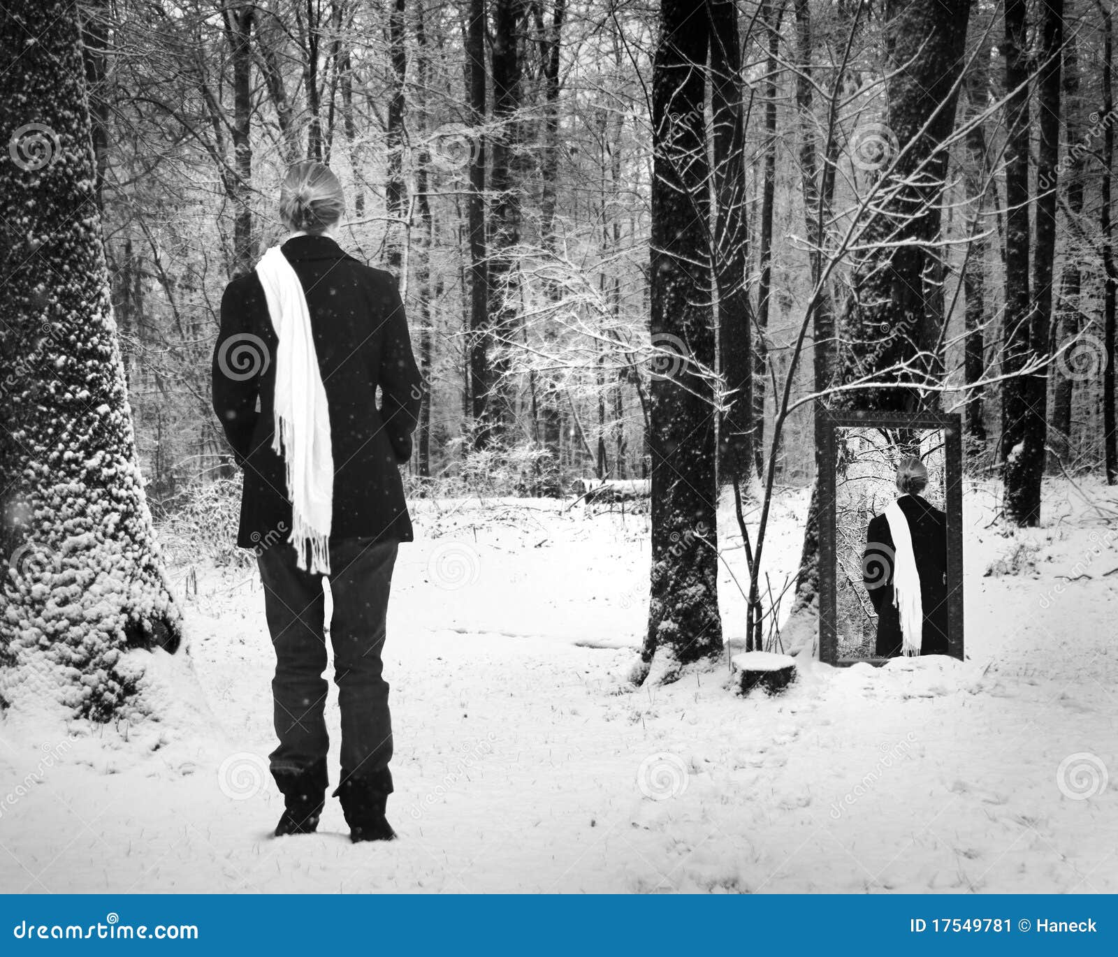 Surreal Reverse Reflection stock image. Image of winter - 17549781