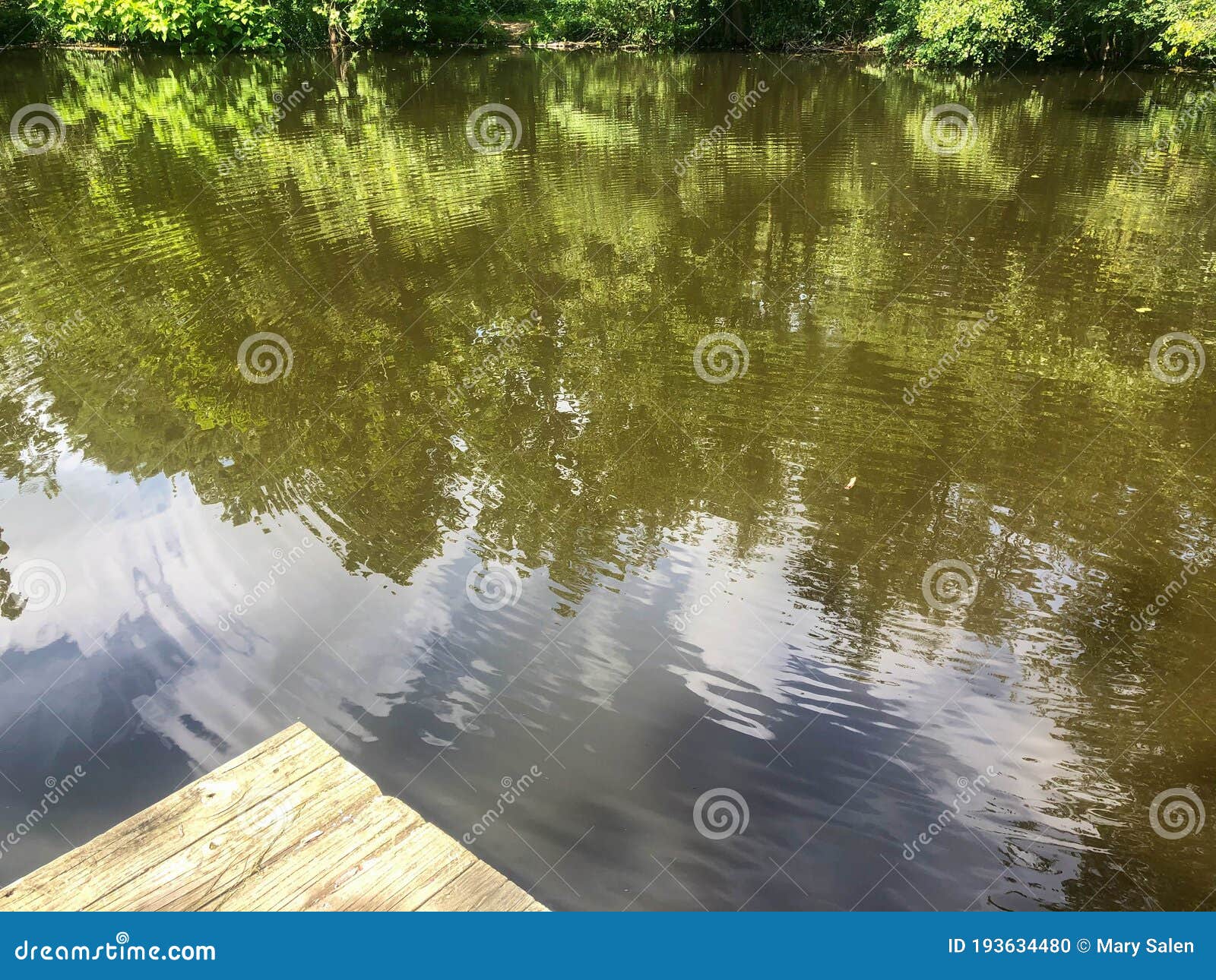 Surreal Ripples on Surface of Woodland Pond. Stock Photo - Image of ...