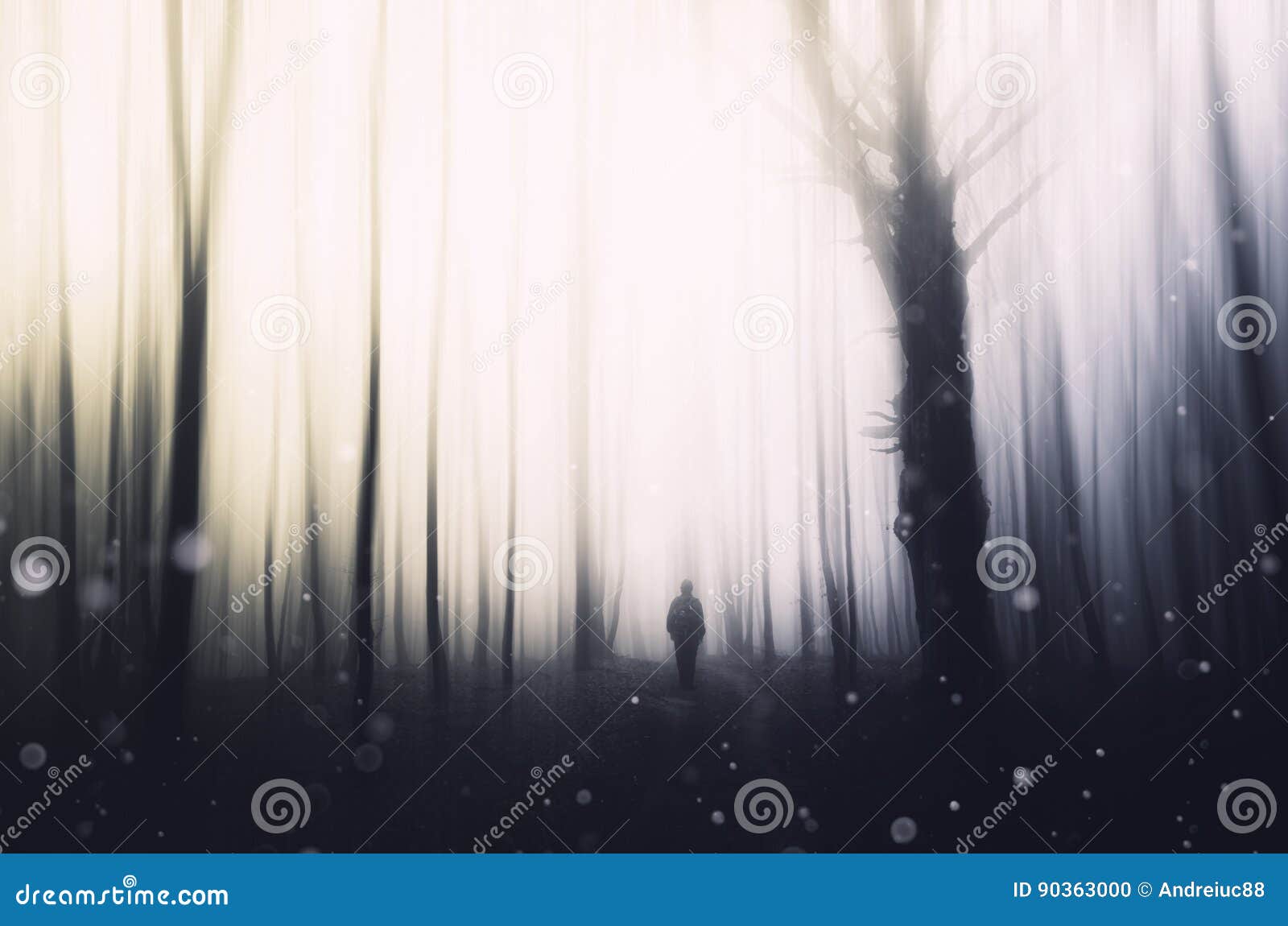 Surreal Scene with Man in Forest with Flying Sparks Stock Photo - Image ... Surreal Scene with Man in Forest with Flying Sparks Stock Photo - Image ...