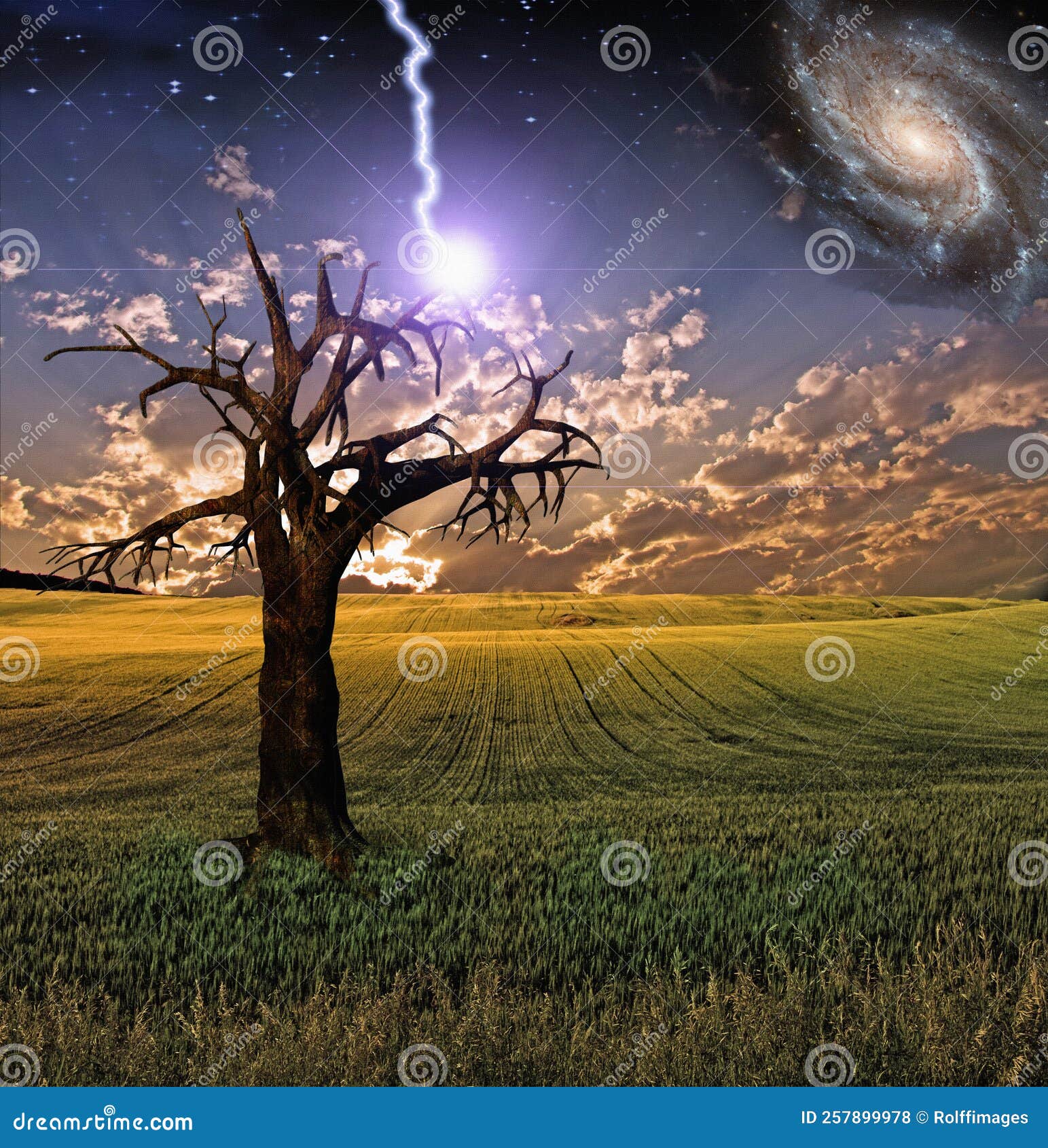 Surreal Sunset Field stock photo. Image of midnight - 257899978