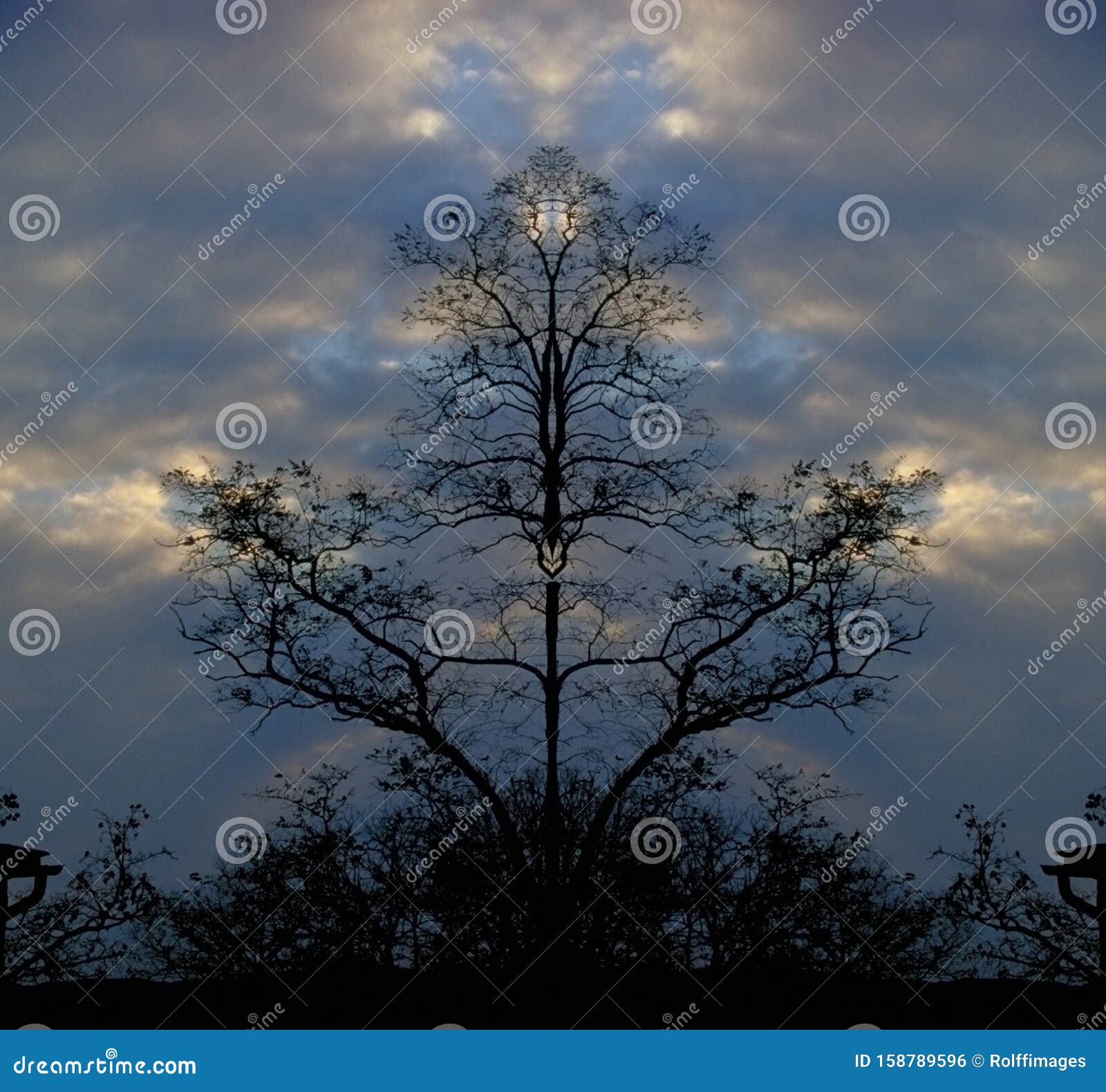 Surreal trees stock illustration. Illustration of clouds - 158789596