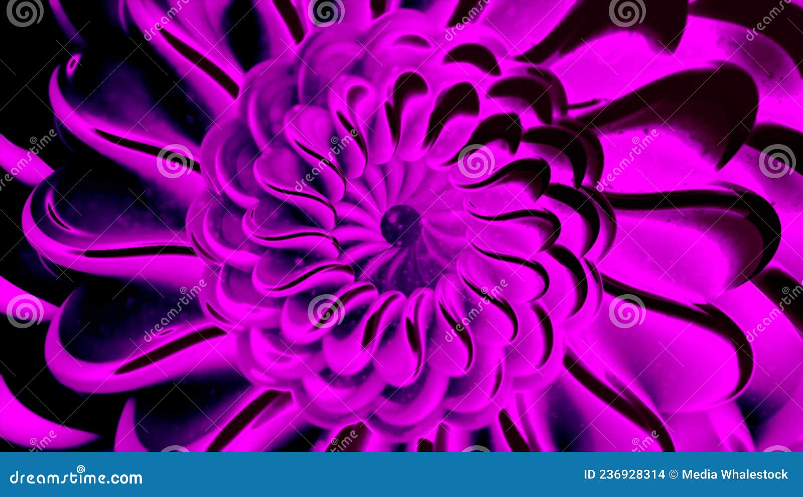 Surrealistic Pink Breathtaking Opened Flower Bud Creating an Optical ...