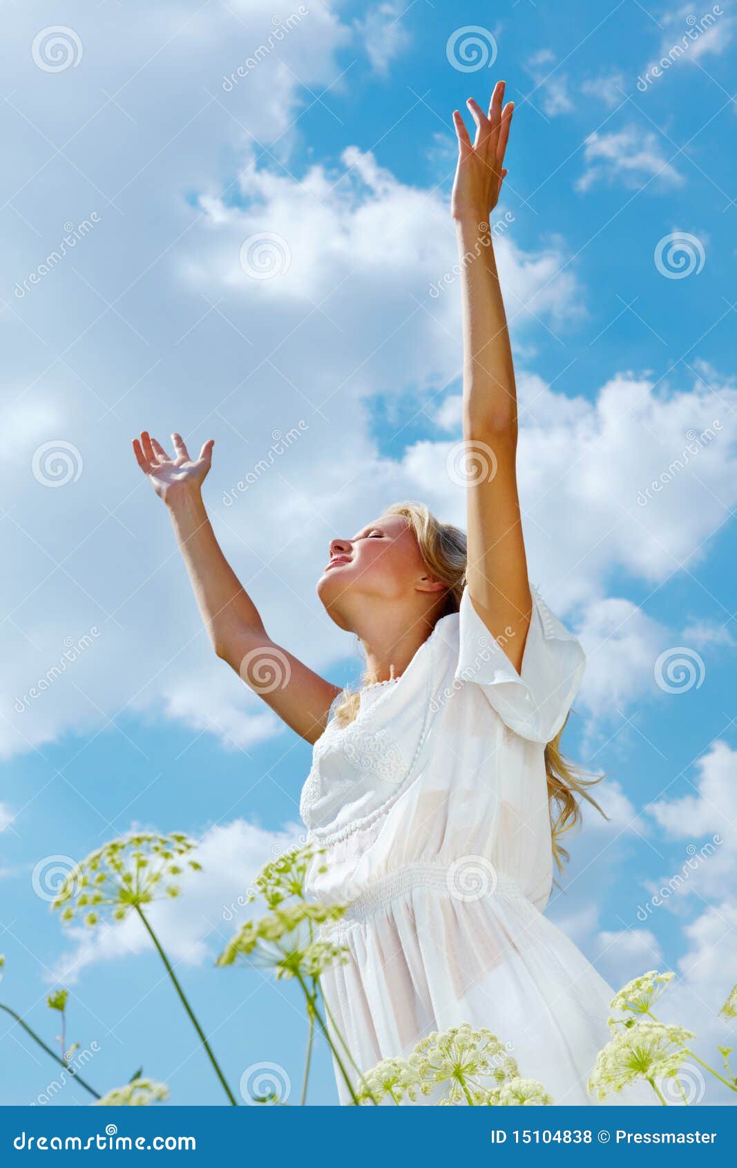 Surrender stock photo. Image of beautiful, blonde, environment - 15104838