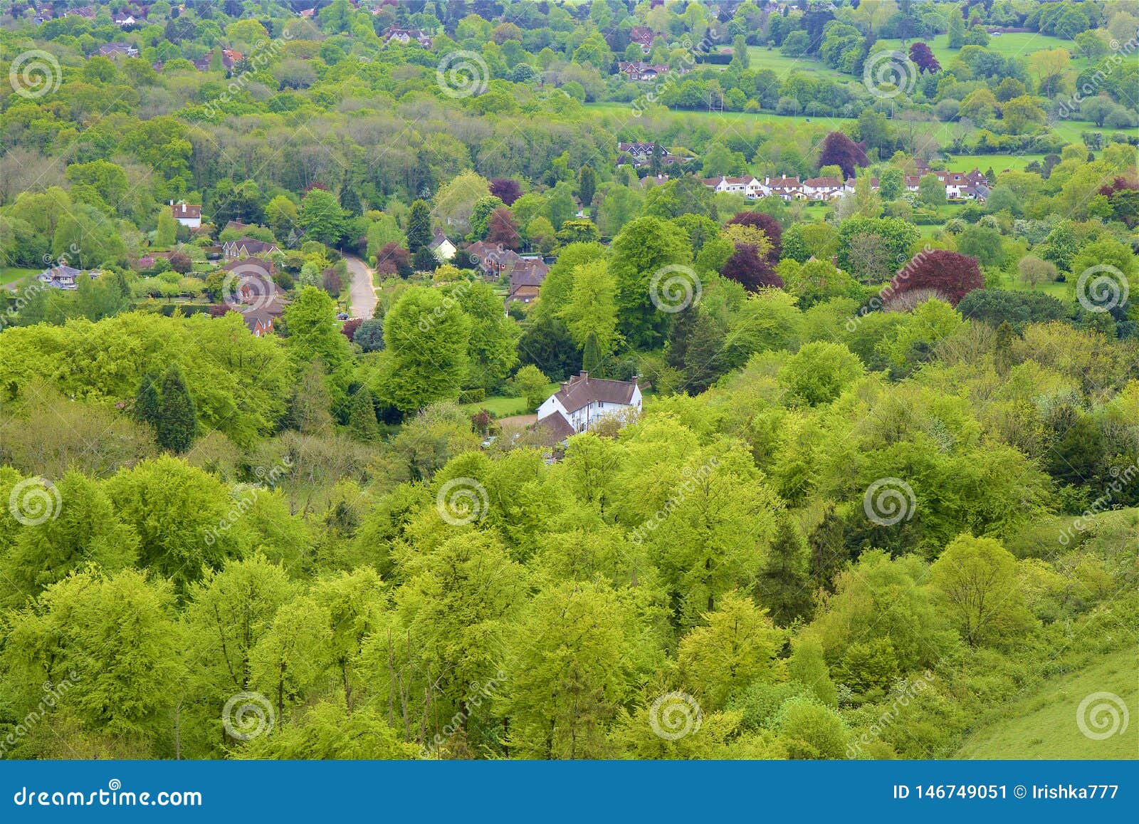 Surrey hills, England stock image. Image of england - 146749051