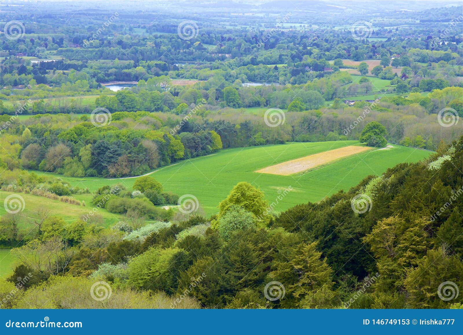 Surrey hills, England stock image. Image of england - 146749153