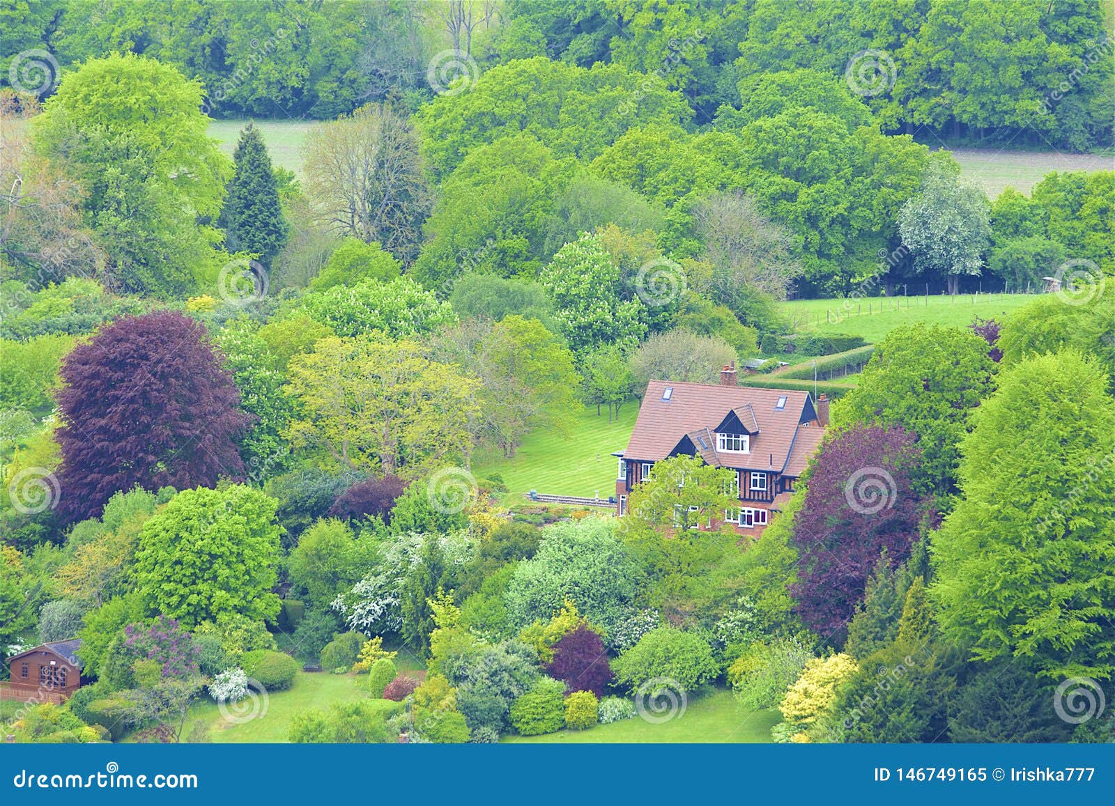Surrey hills, England editorial image. Image of view - 146749165