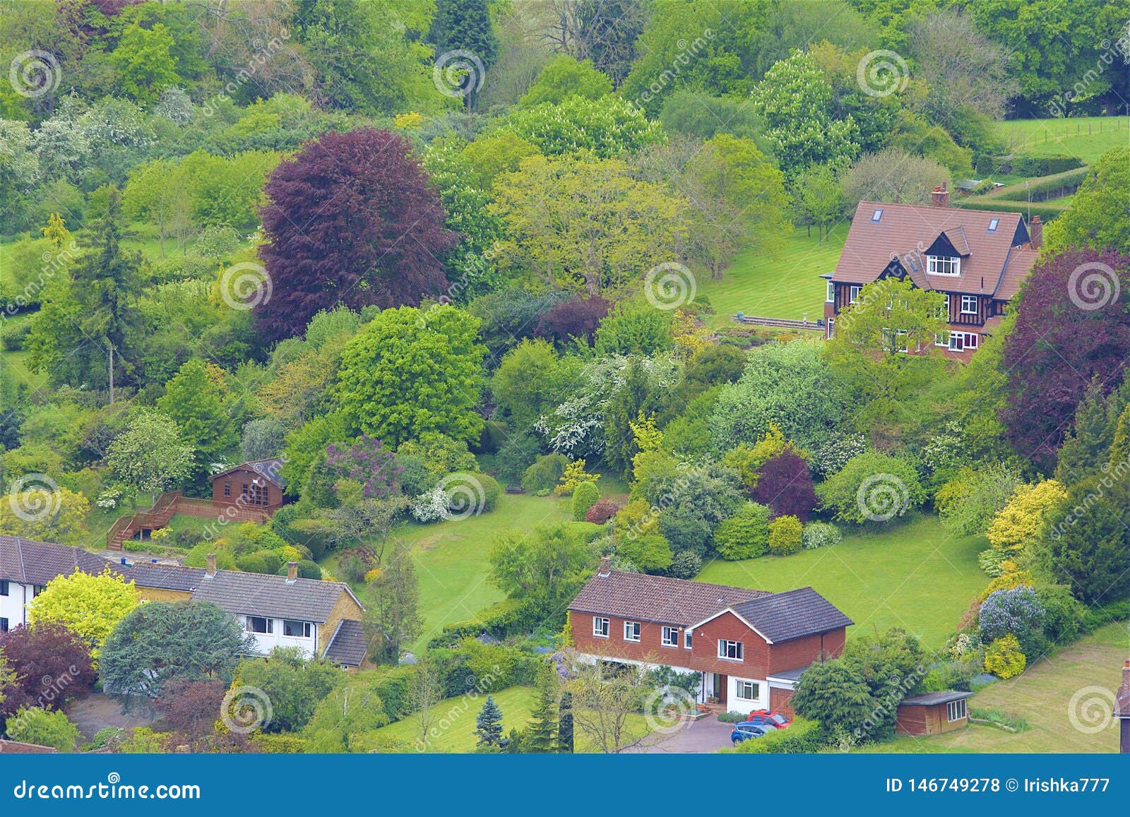 Surrey hills, England stock photo. Image of surrey, view - 146749278