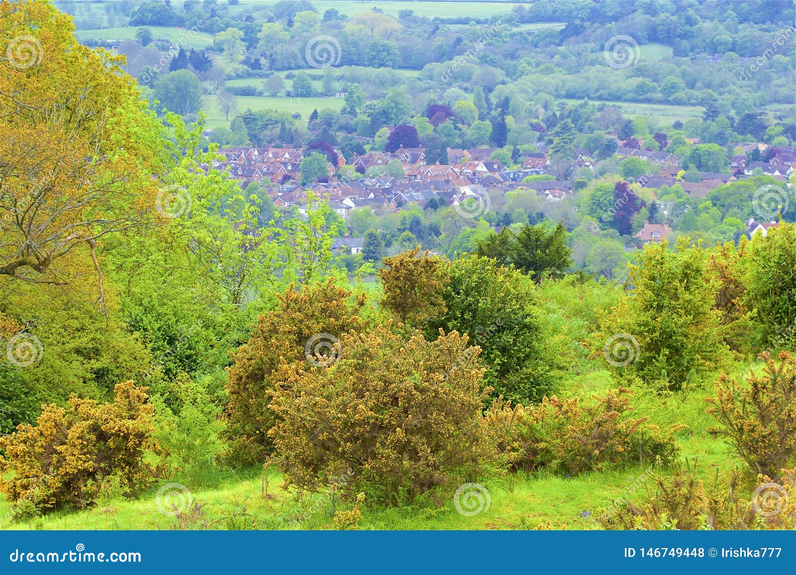 Surrey hills, England stock photo. Image of english - 146749448