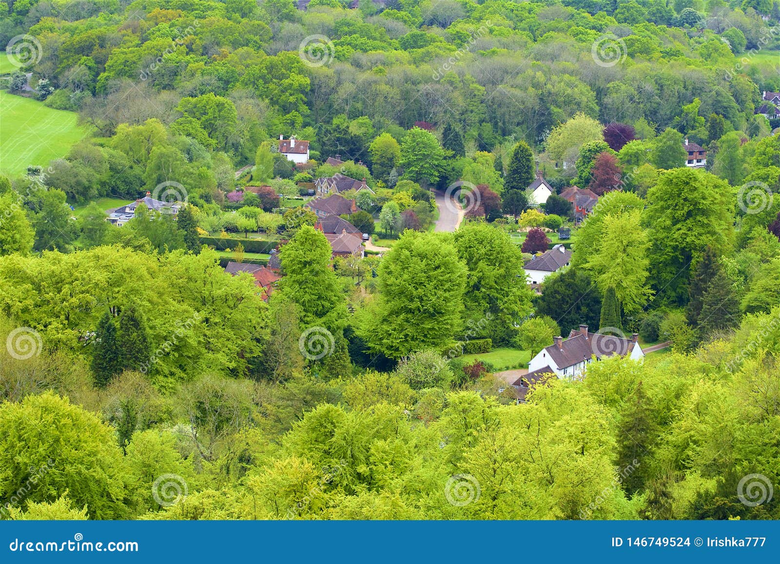 Surrey hills, England stock photo. Image of views, landscape - 146749524