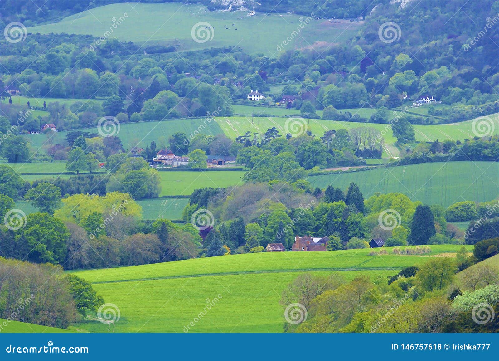 Surrey hills, England stock photo. Image of views, galloway - 146757618