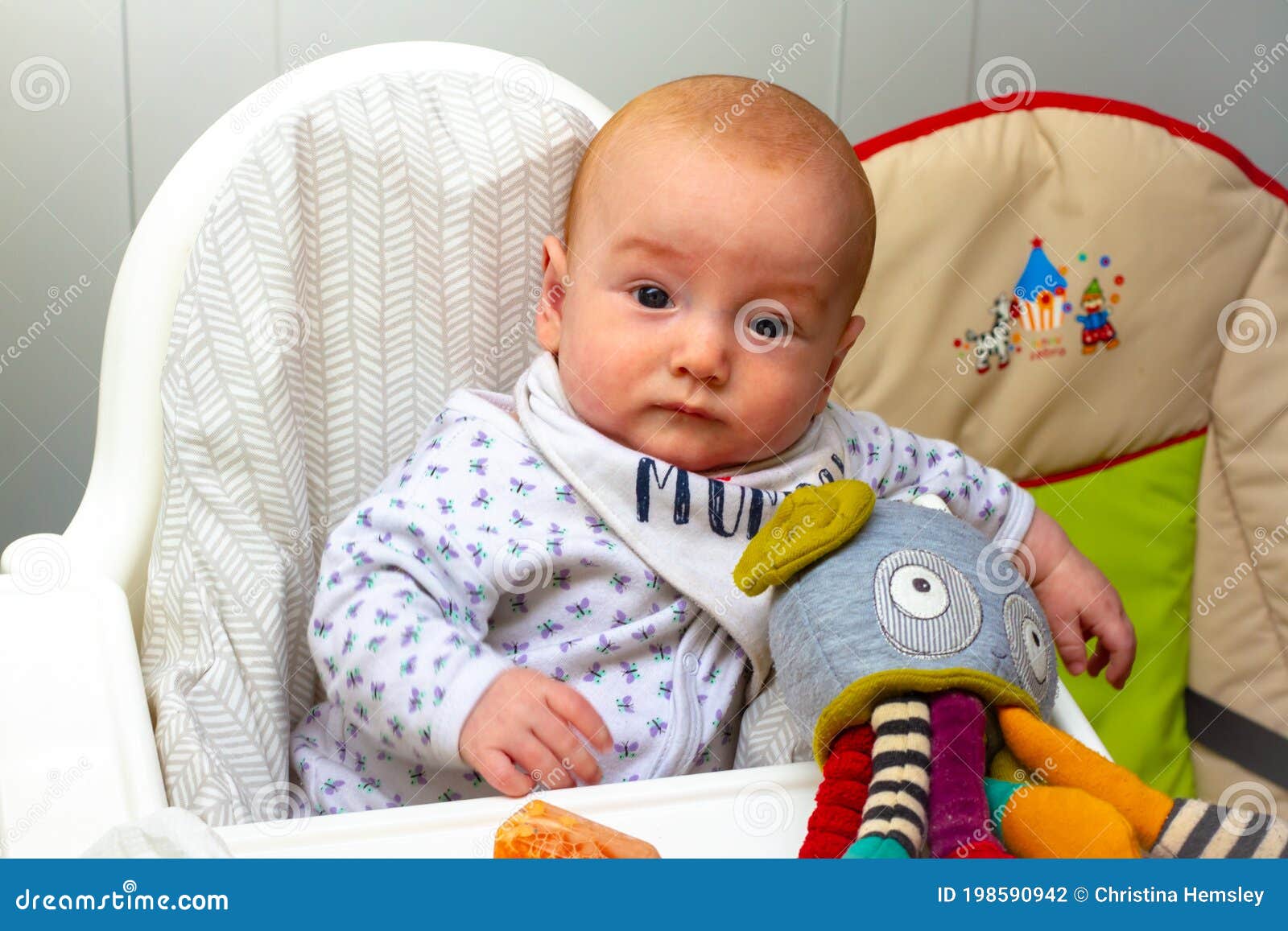 A Baby Chilling in His High Seat Stock Photo - Image of contact, happy ...