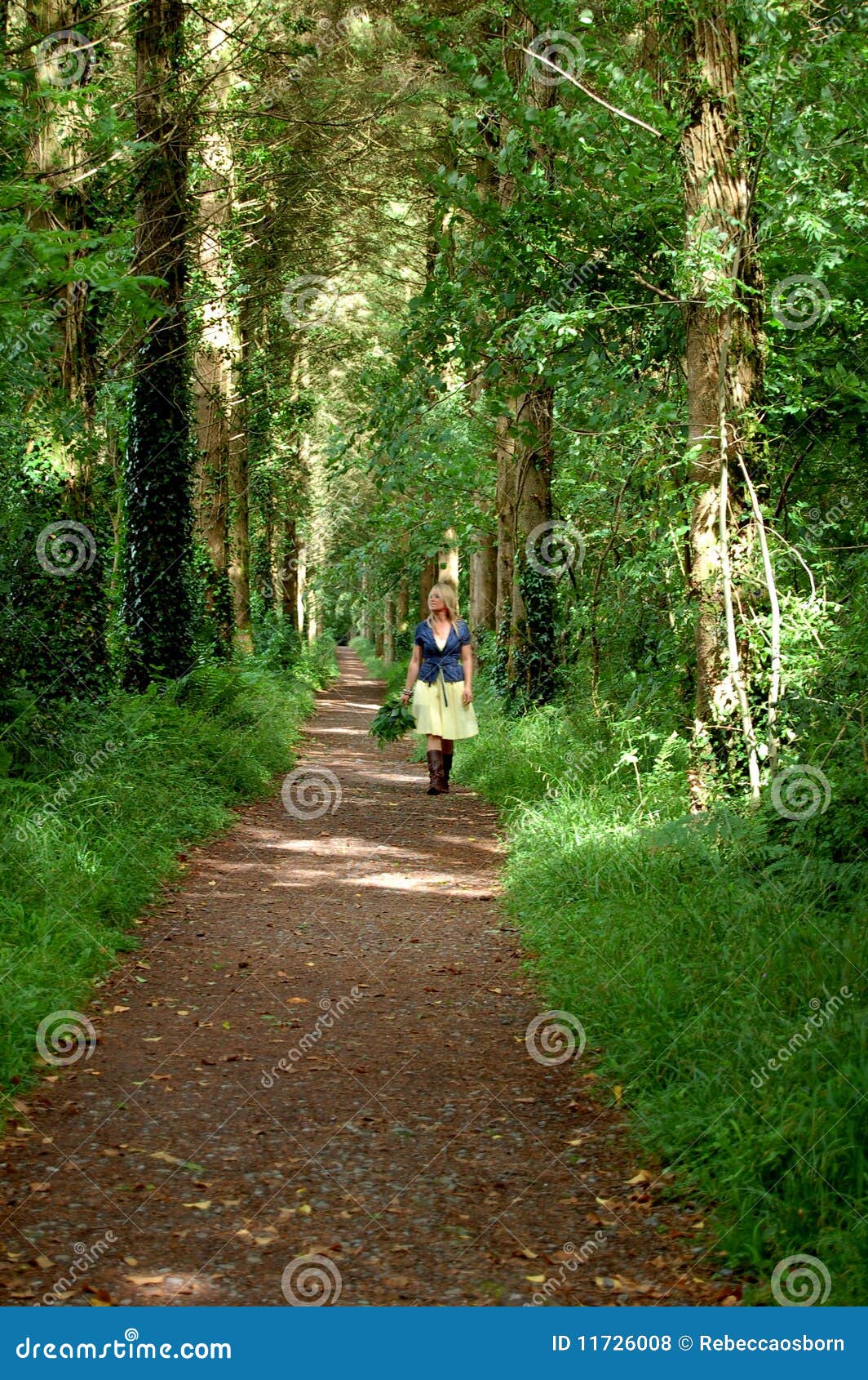 Surrounded by Nature stock photo. Image of happiness - 11726008
