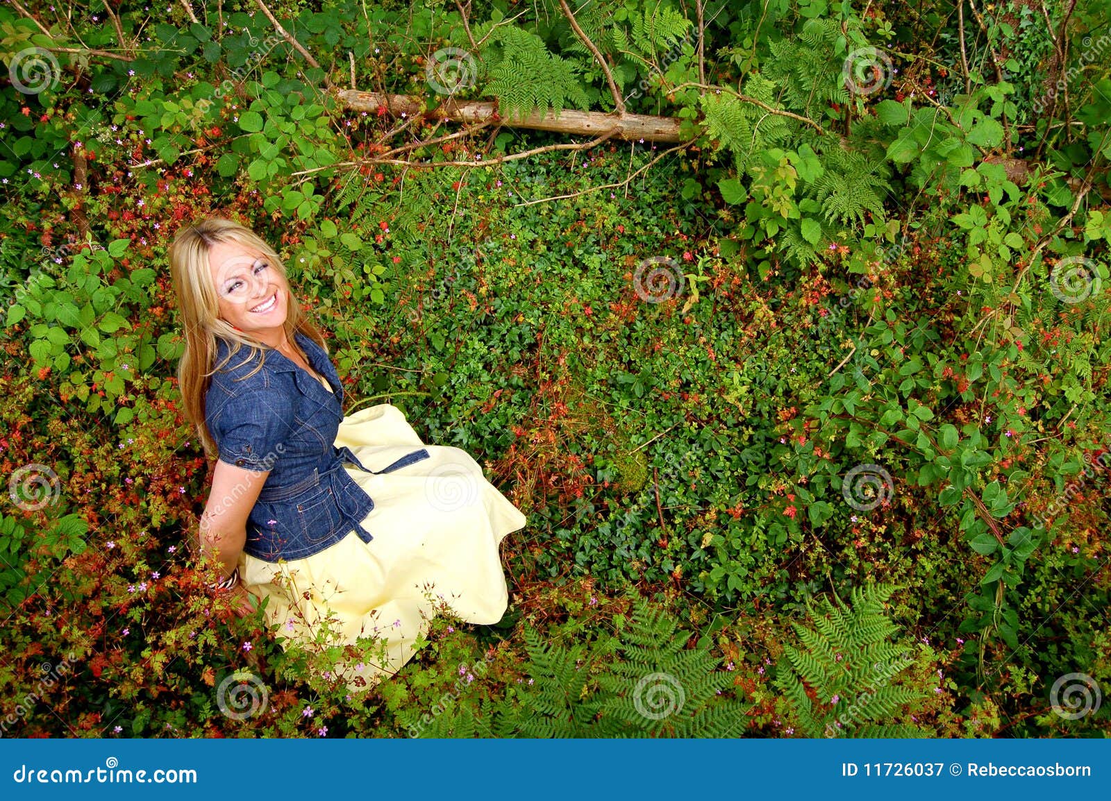 Surrounded by Nature stock image. Image of expressing - 11726037