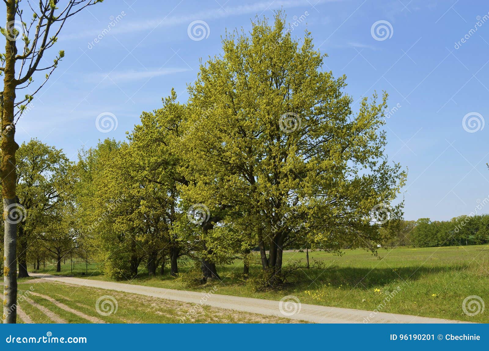 The Surrounding Countryside of Berlin Stock Image - Image of ...