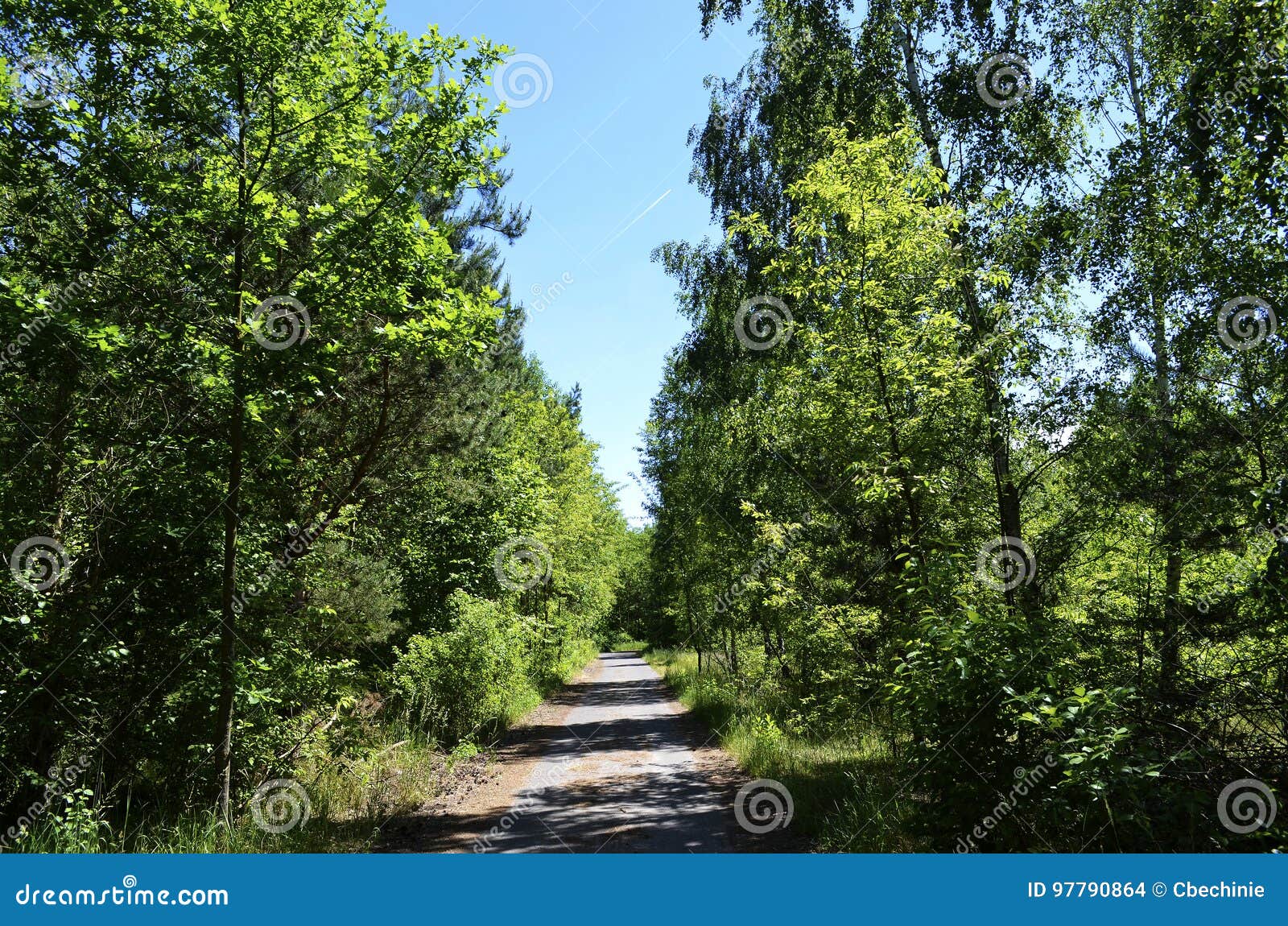 The Surrounding Countryside of Berlin Stock Photo - Image of wall ...