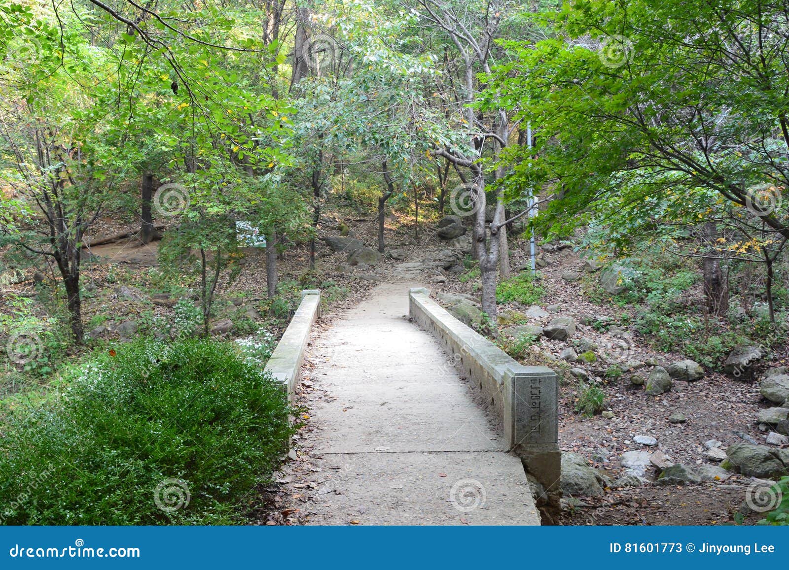 Surrounding Wall stock image. Image of forest, seasons - 81601773