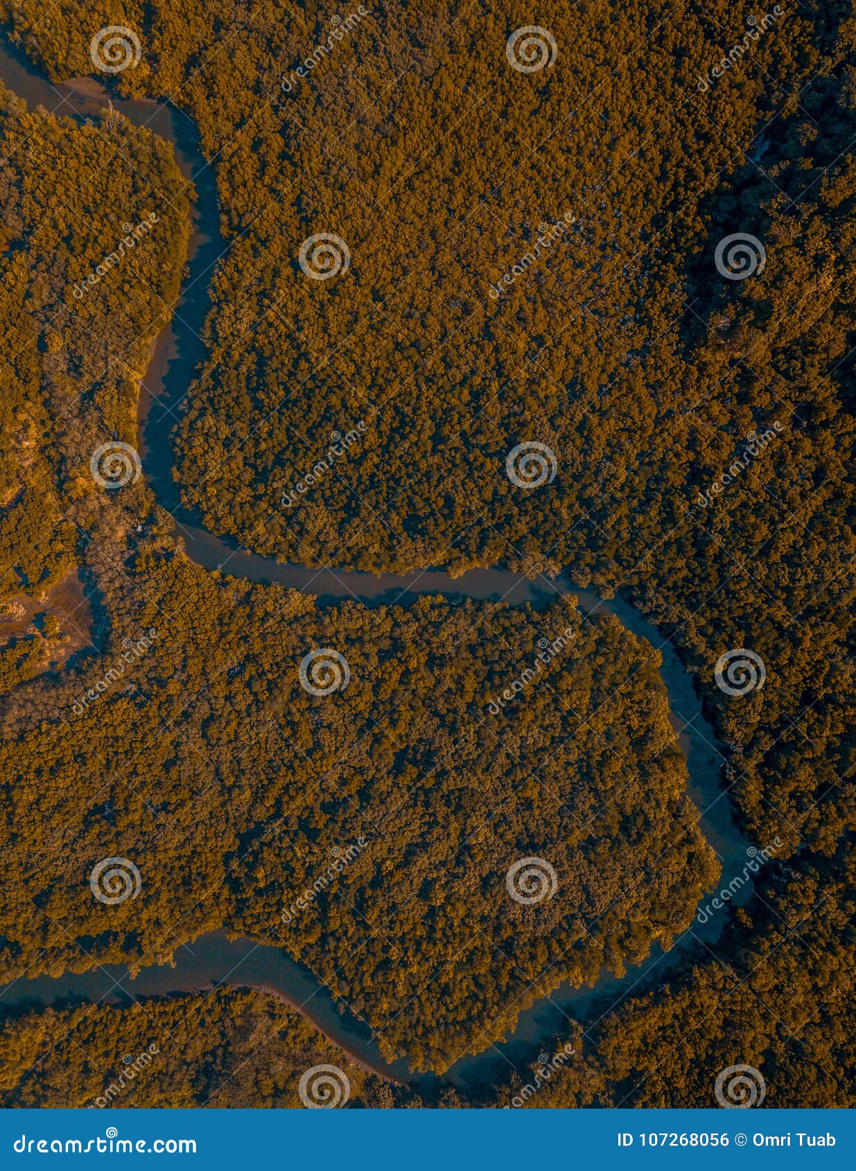 Surrsikt av en flod arkivfoto. Bild av naturligt, grön - 107268056