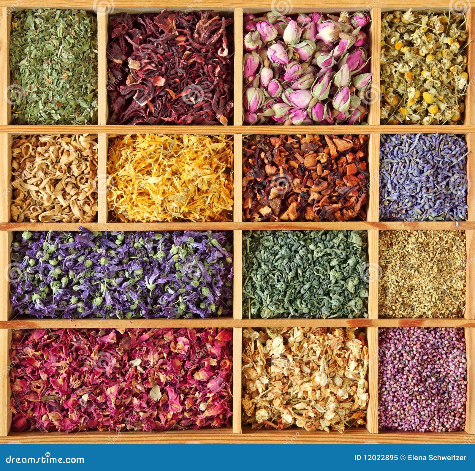 Surtido de té secado imagen de archivo. Imagen de alimento - 12022895