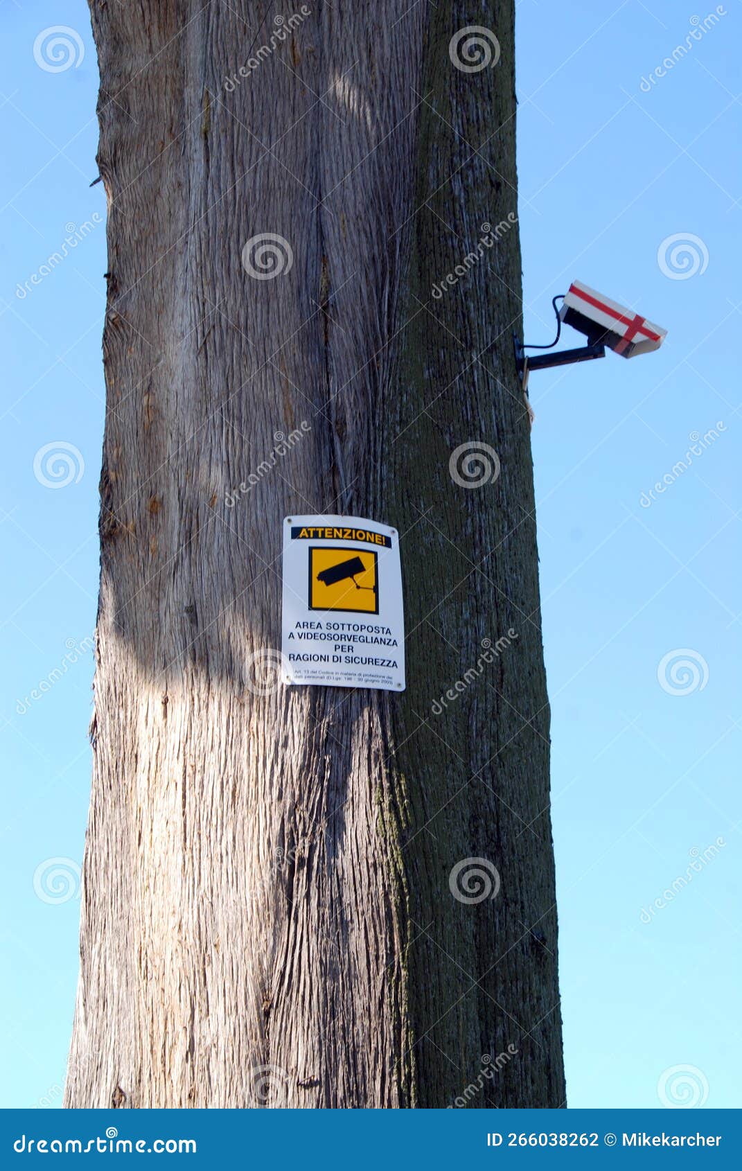 Surveillance Camera Mounted on Tree Trunk Editorial Photography - Image ...