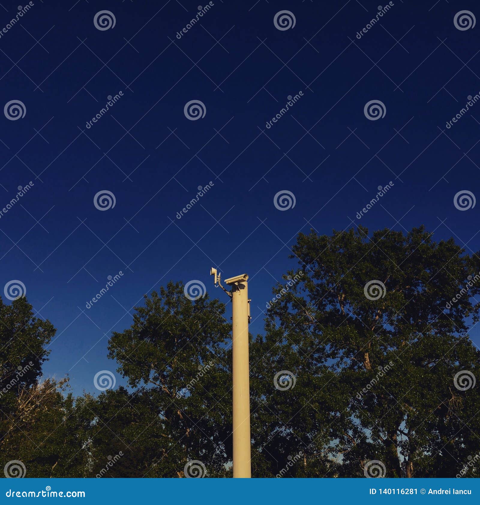Surveillance Camera in Nature Stock Image - Image of trees, cctv: 140116281