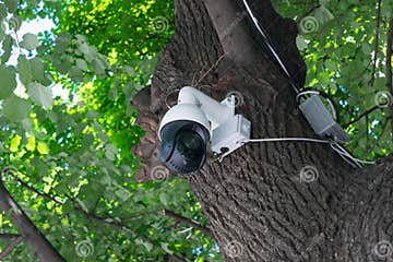 Surveillance CCTV 360 Camera Mounted on a Tree in the Park Stock Photo ...