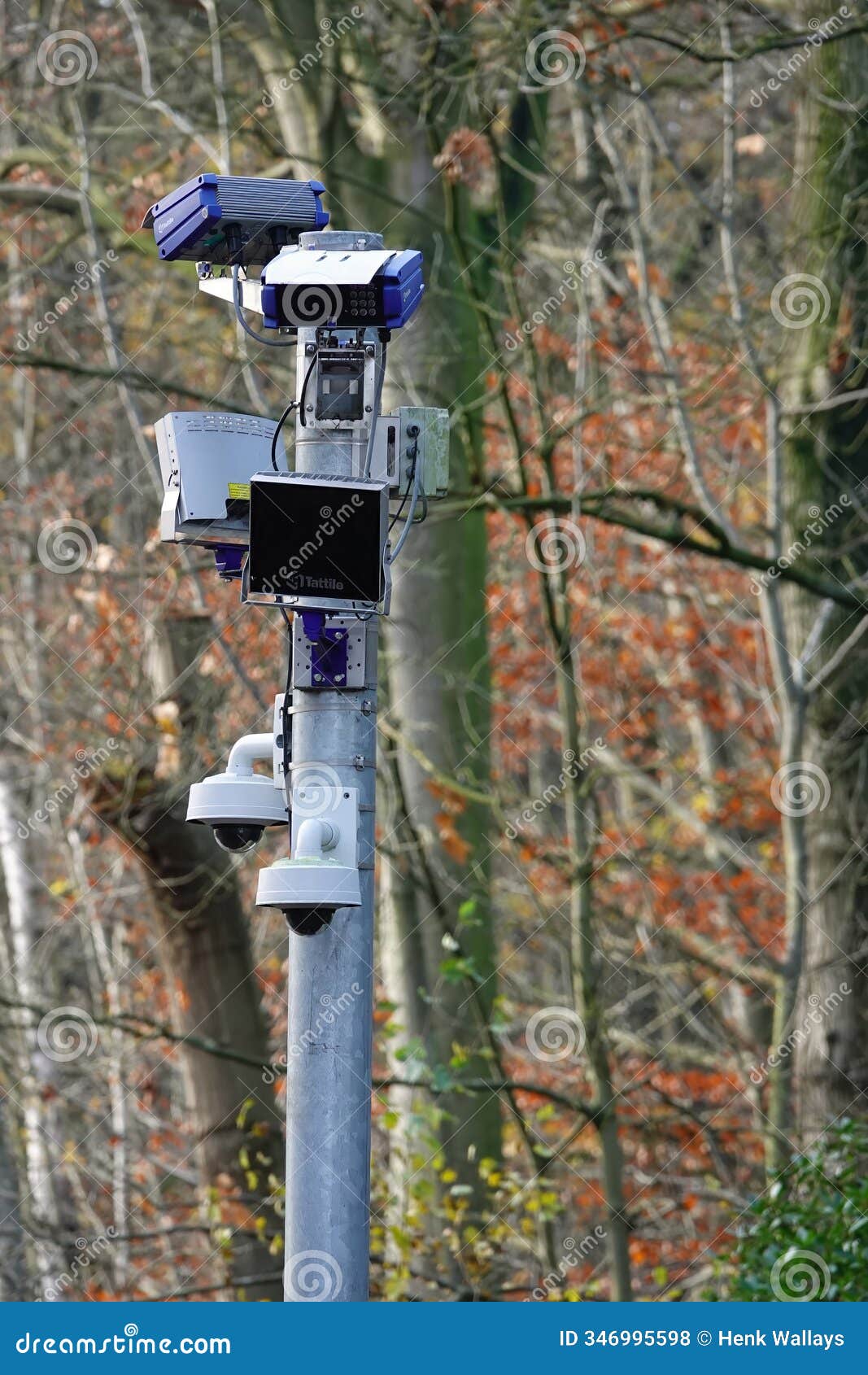 Surveillance Traffic Speed Camera System in Forest Stock Photo - Image ...