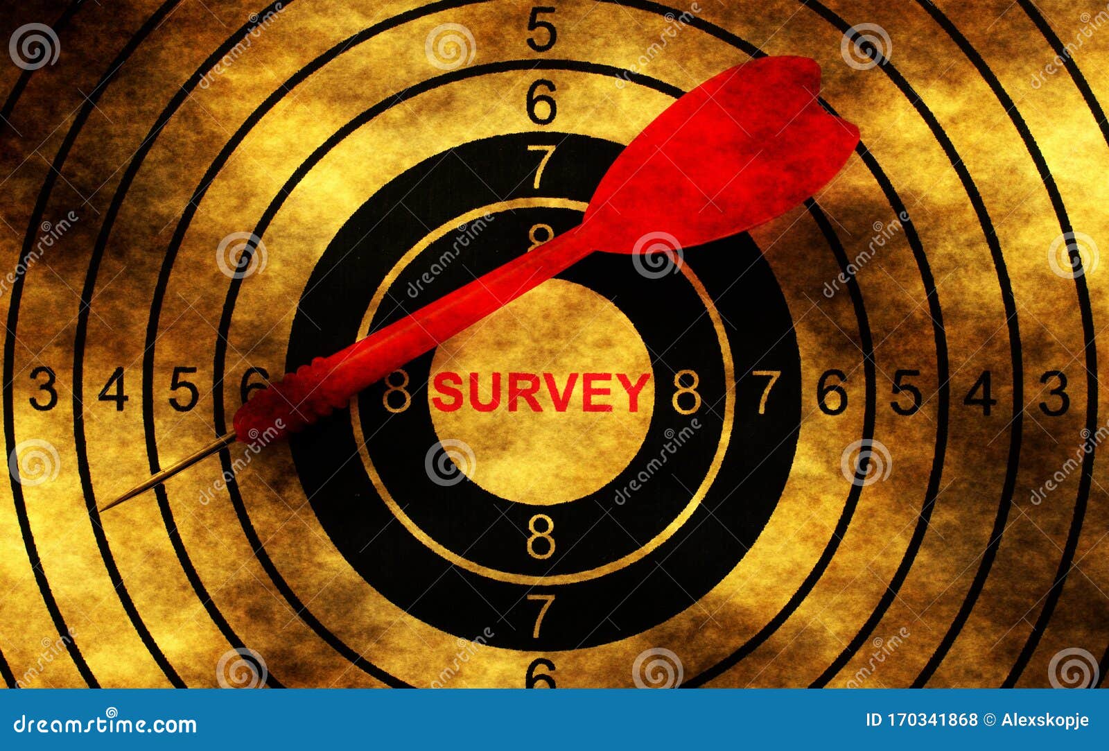 Survey Target Grunge Concept Stock Photo - Image of person, happy ...