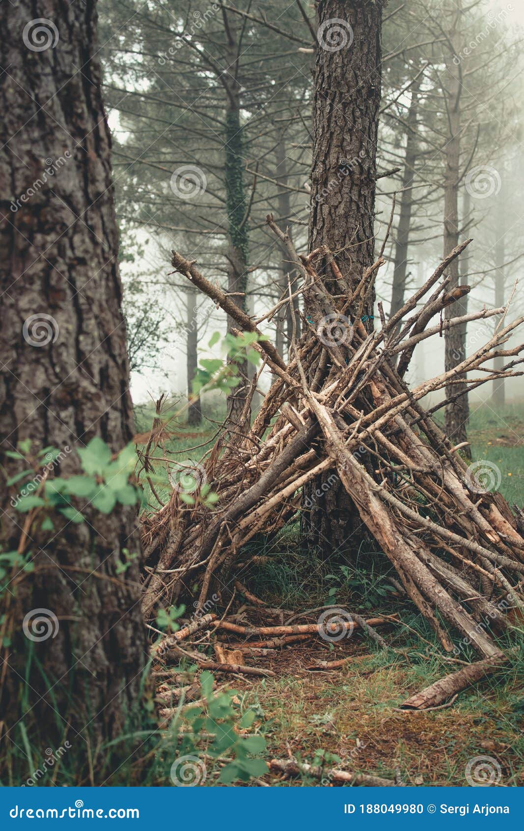 Survival Hut Made of Branches Stock Photo - Image of temporary, branch ...