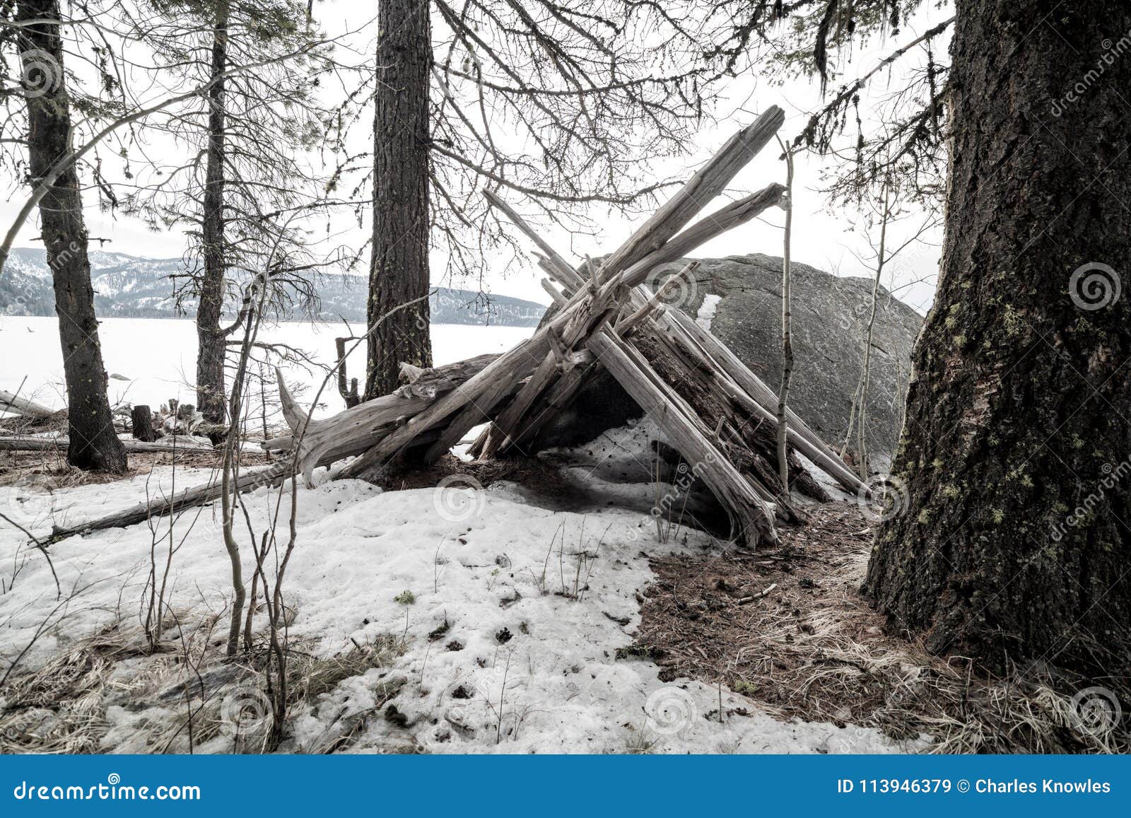 Survival Lean-to in a Winter Forest with Snow Stock Image - Image of ...