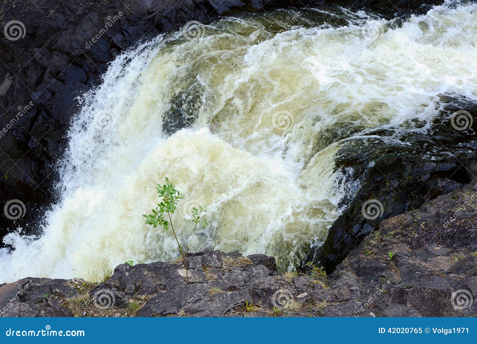 Survival stock image. Image of summer, waterfall, beauty - 42020765