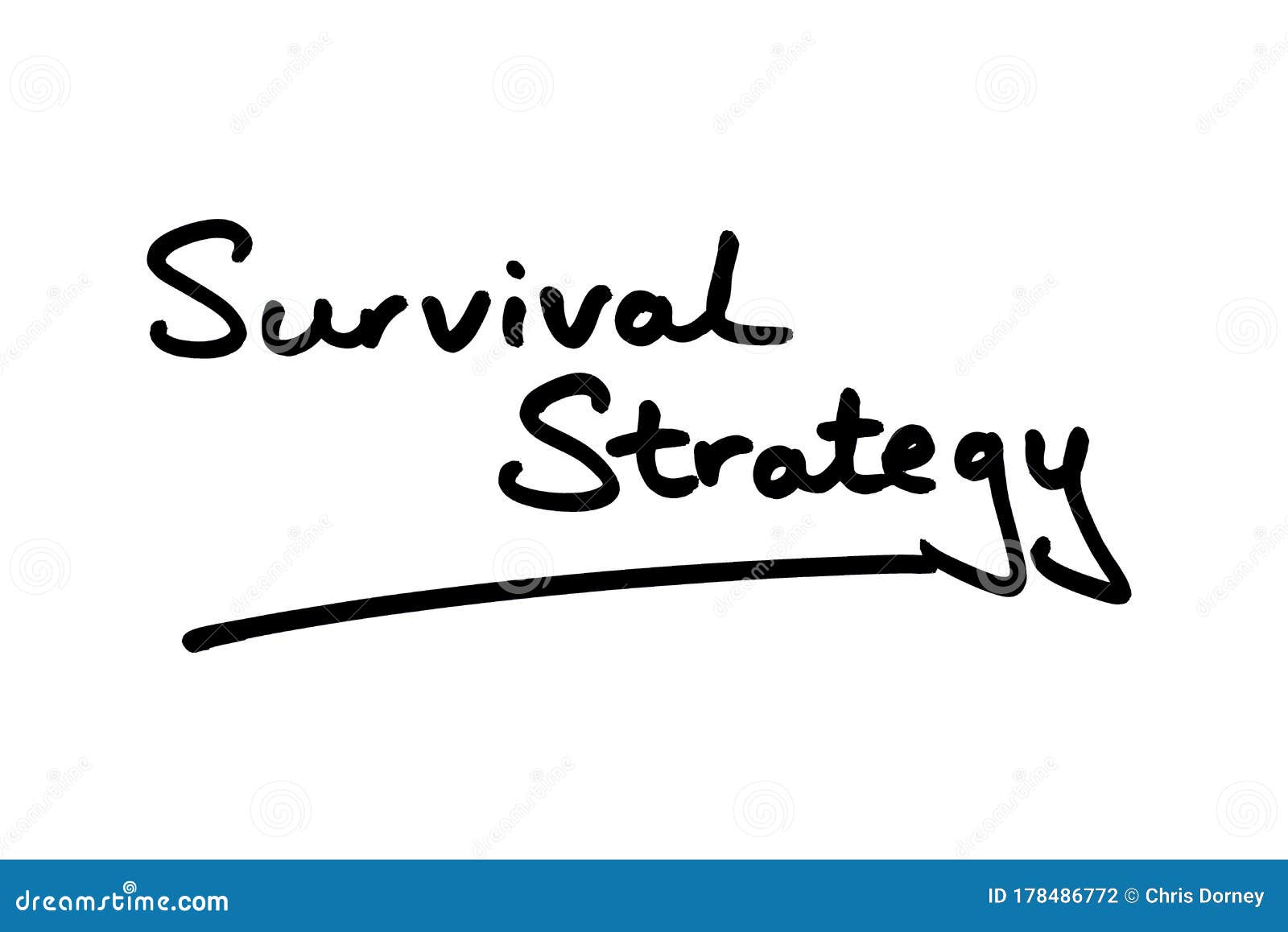Survival Endurance Resilience Attitude Road Signs Arrows Direction ...