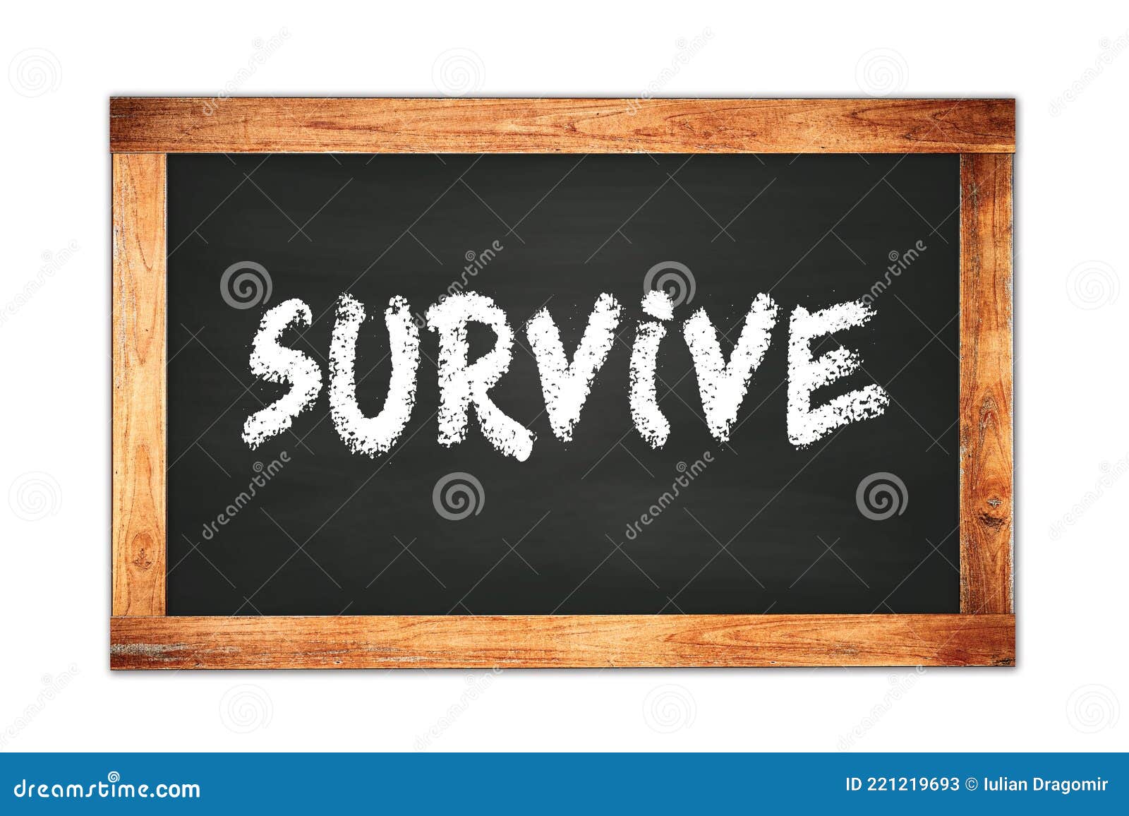 SURVIVE Text Written on Wooden Frame School Blackboard Stock Image ...