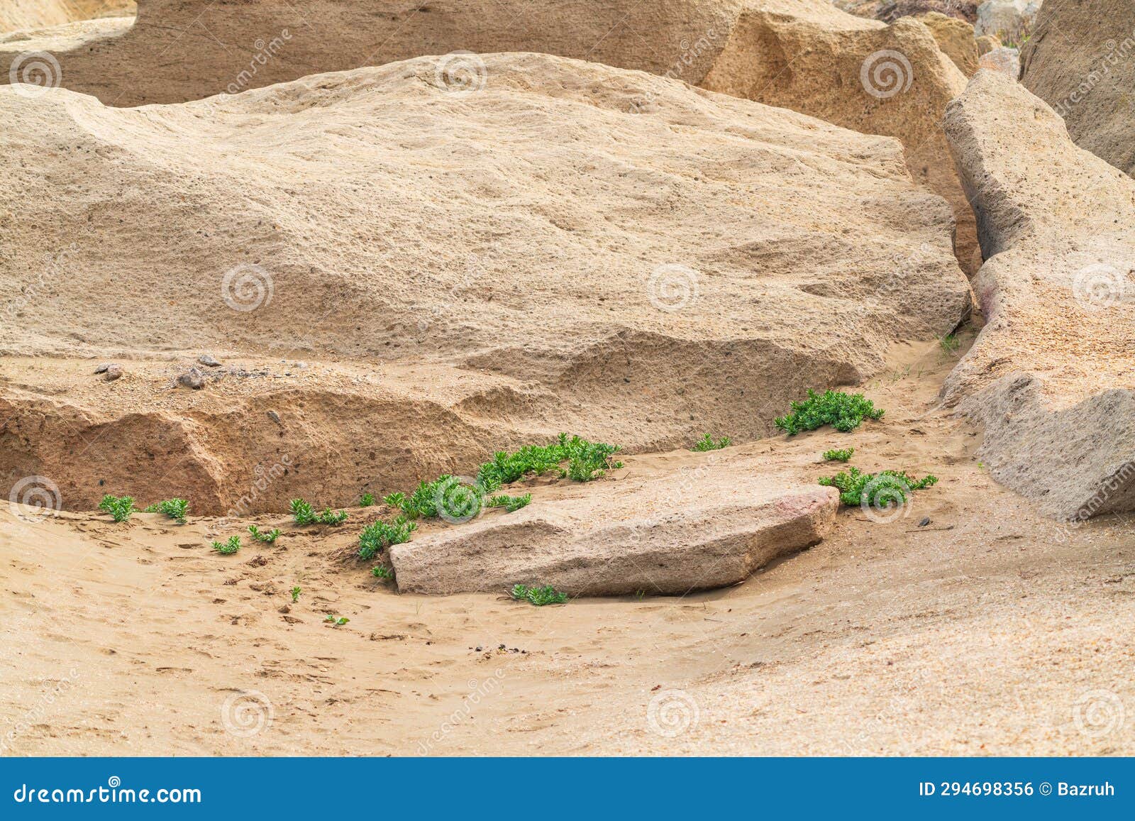 Surviving Green Plants in a Sandy Rocky Desert Scene Stock Photo ...