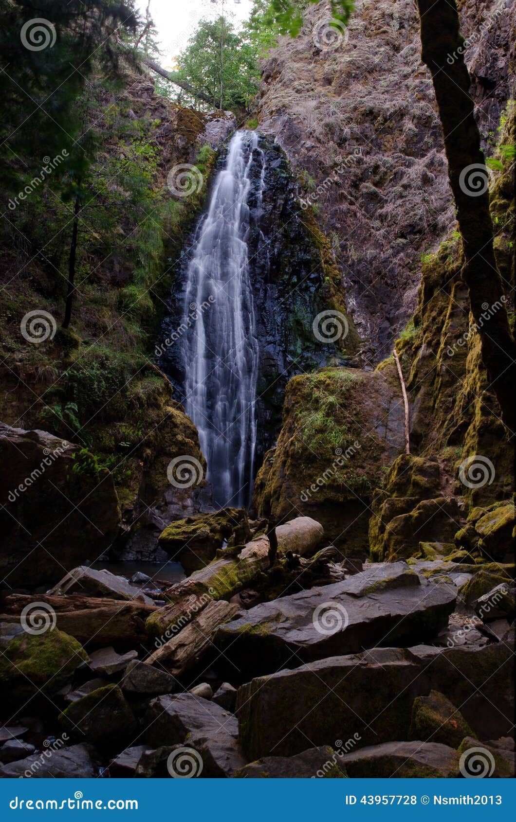 Susan Creek Falls stock photo. Image of falls, nature - 43957728