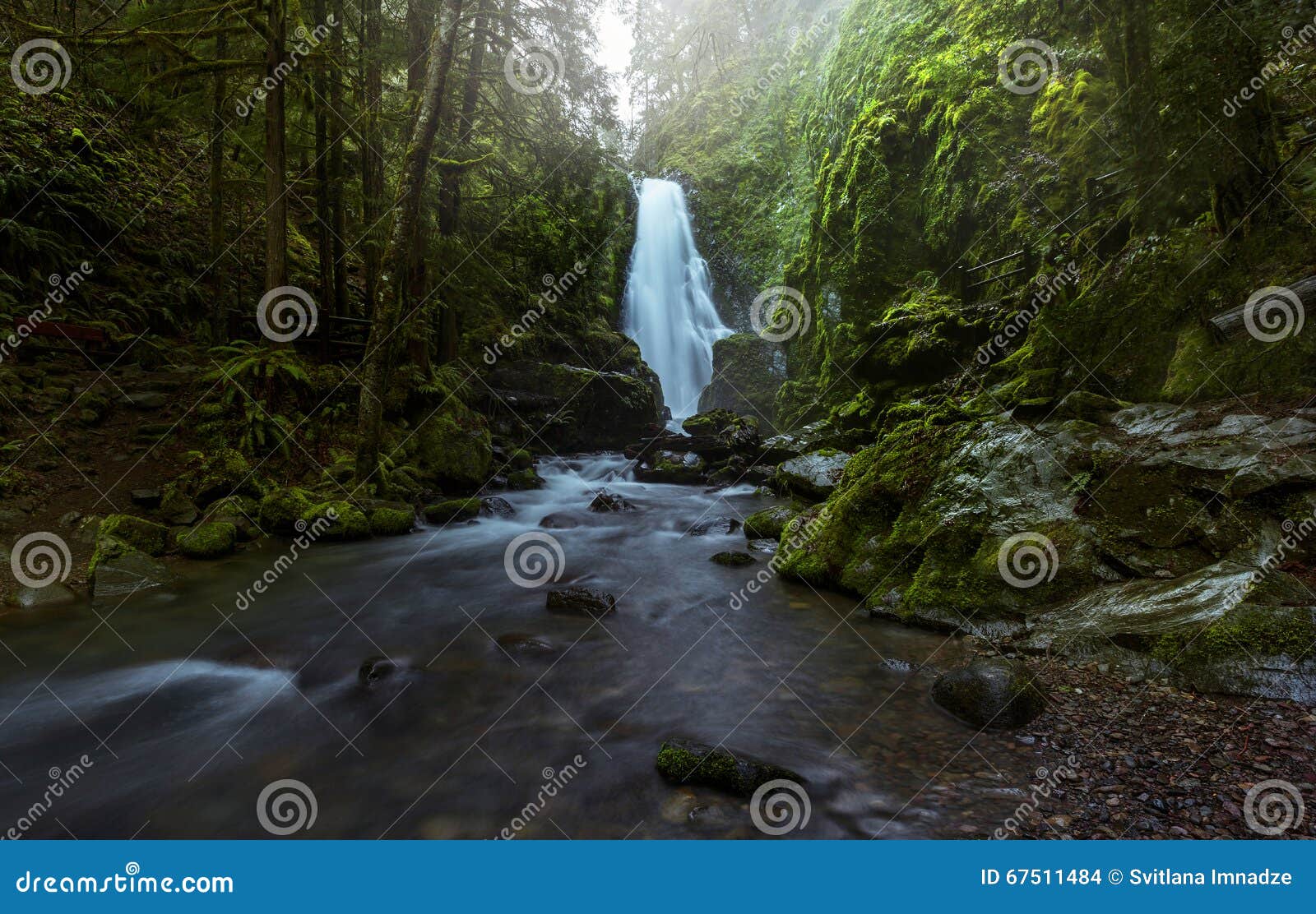 Susan Falls stock photo. Image of trees, creek, outdoors - 67511484