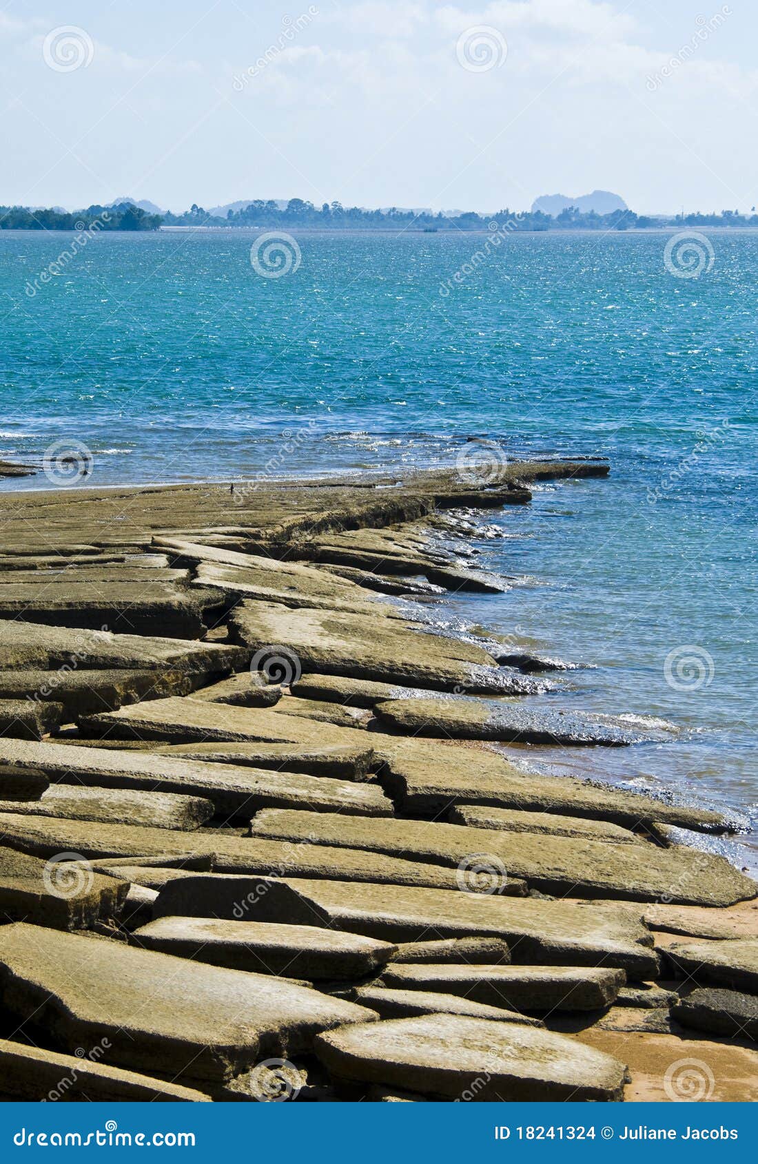 Susan Hoi Shell Fossil Beach Cemetery Stock Photo - Image of mollusk ...
