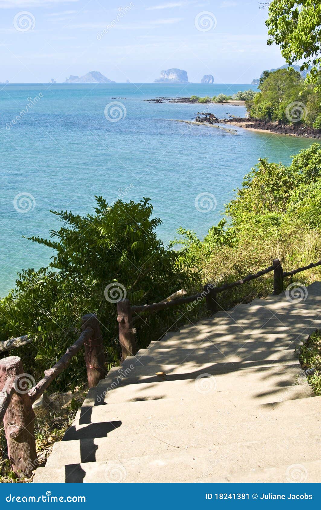 Susan Hoi Shell Fossil Beach Cemetery Stock Image - Image of nautilus ...