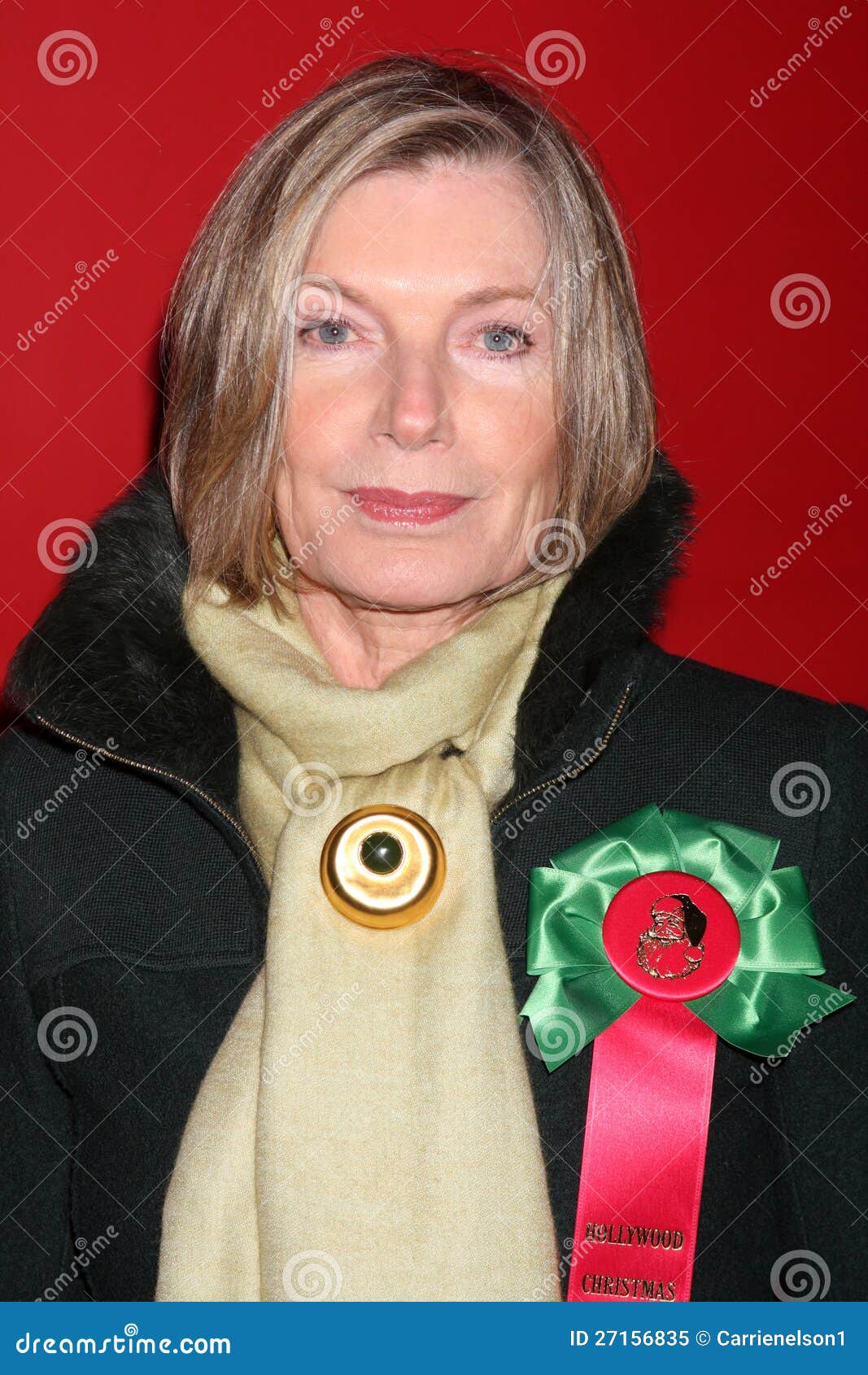 Susan Sullivan editorial image. Image of susan, november - 27156835
