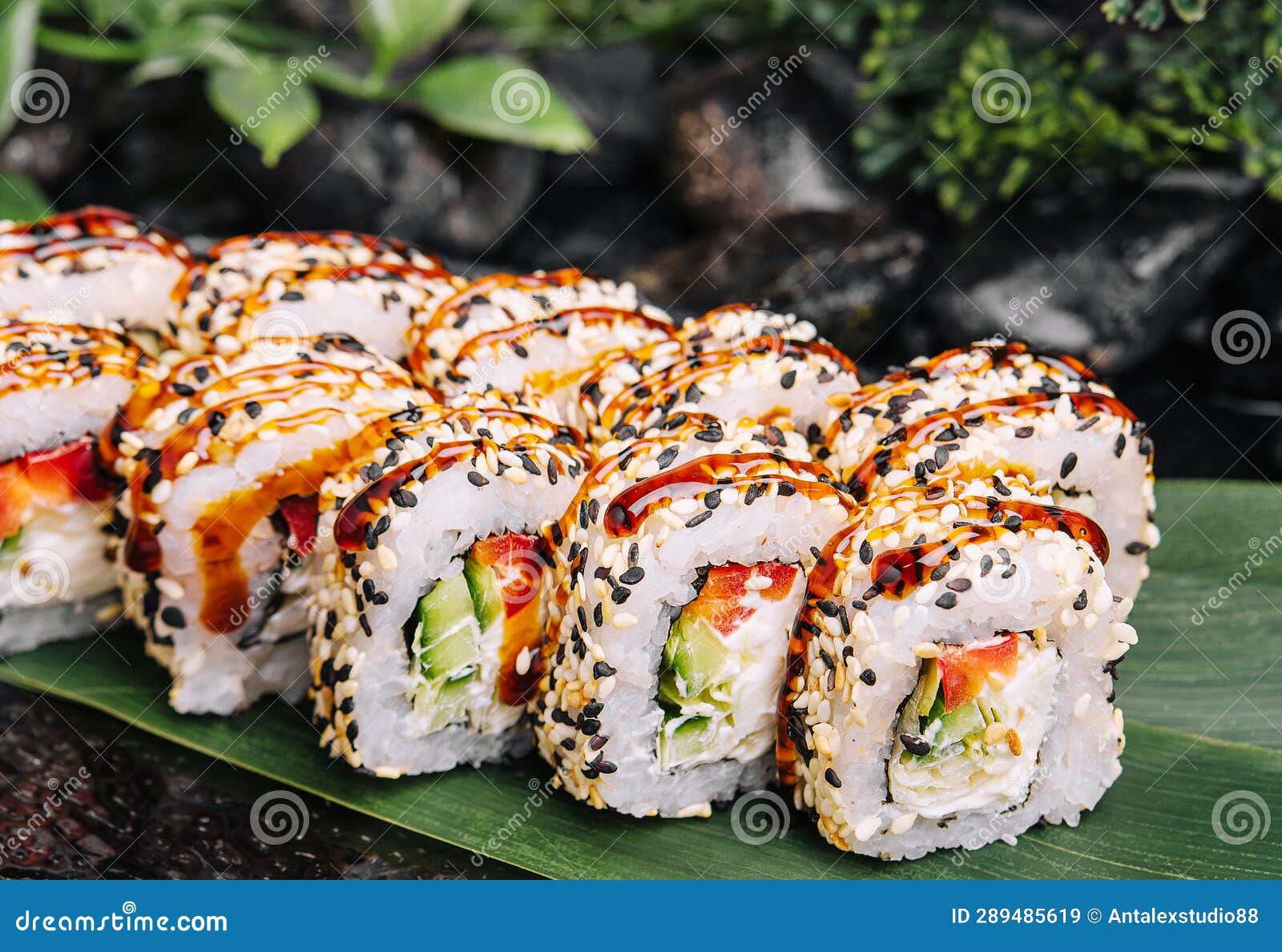 Sushi Rolls Maki in Rows with Salmon, Cheese Sauce and Cucumber Stock ...