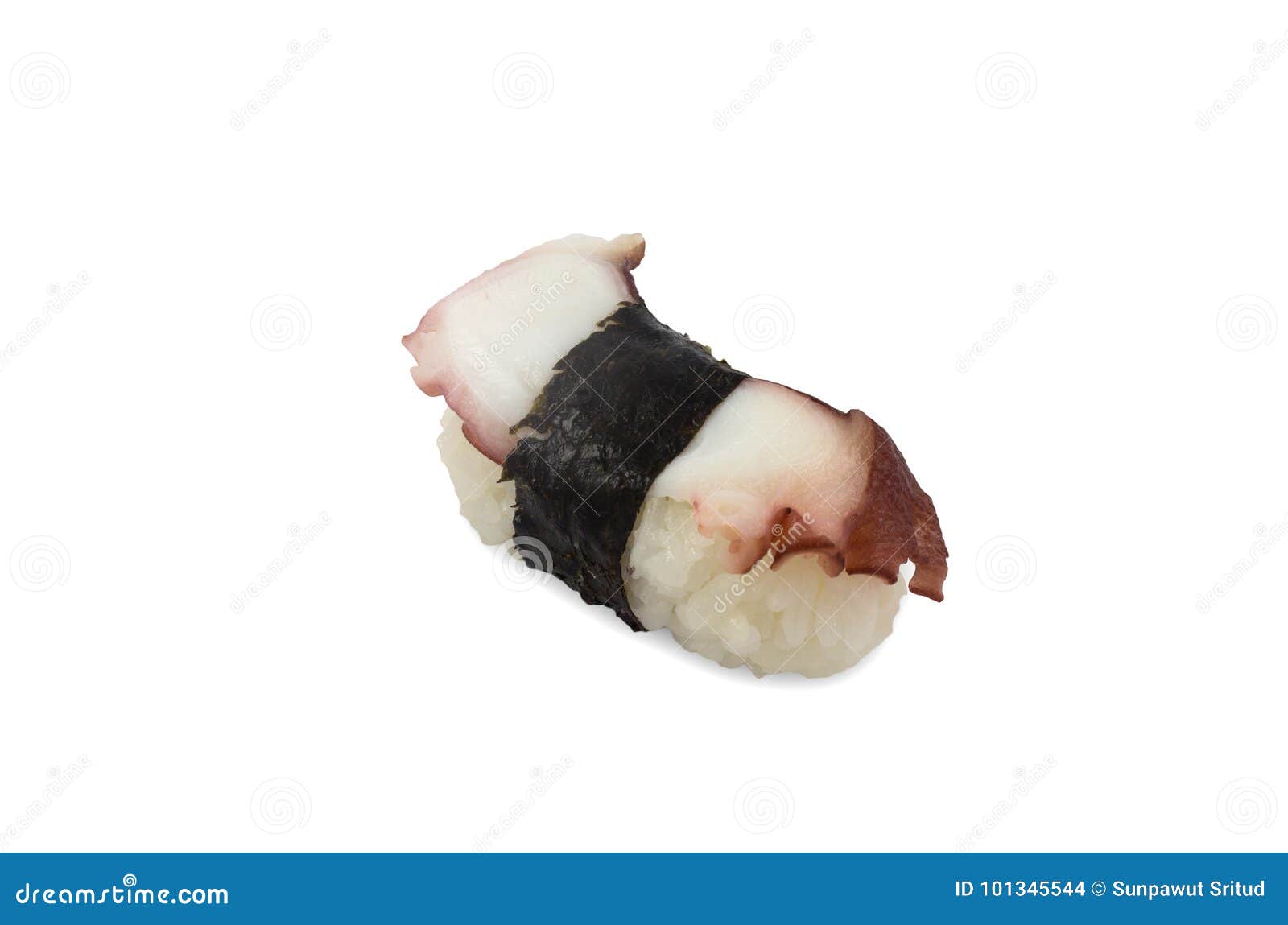 Sushi squid stock photo. Image of japanese, squid, dinner - 101345544